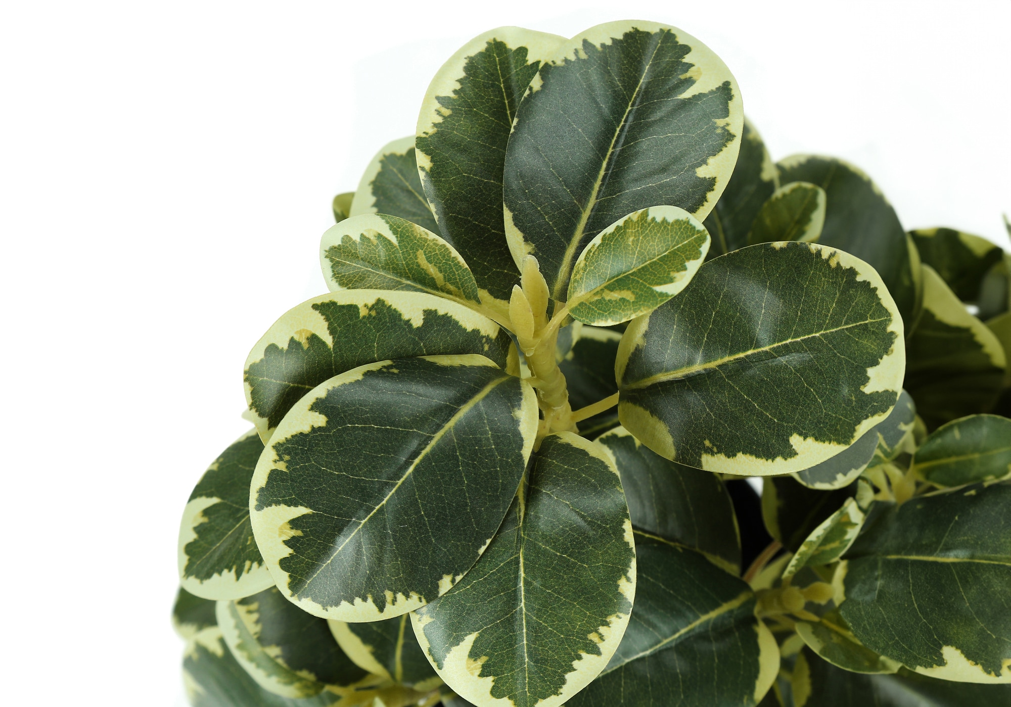 Blisstyle Artificial Plant 14 Inch Tall Ficus Indoor Faux Fake Table ...