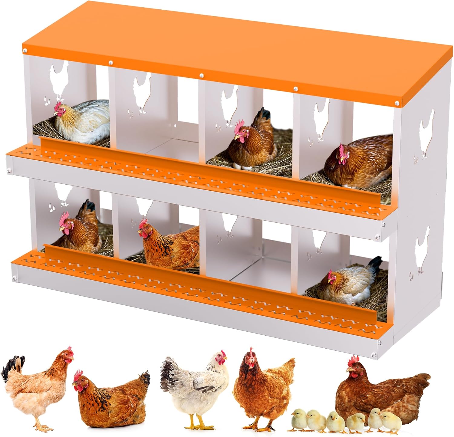 EvoTrim 8 Hole Chicken Coop Nesting Box Galvanized Steel Ventilated ...