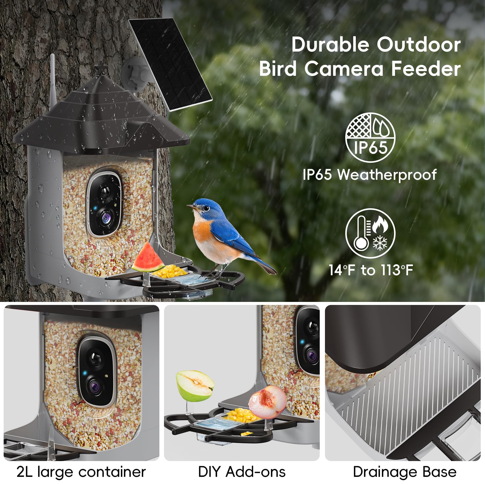 Etokfoks Smart Bird Feeder Camera AI Identifies 10000 Bird Species Solar Panel 4K HD Night ...
