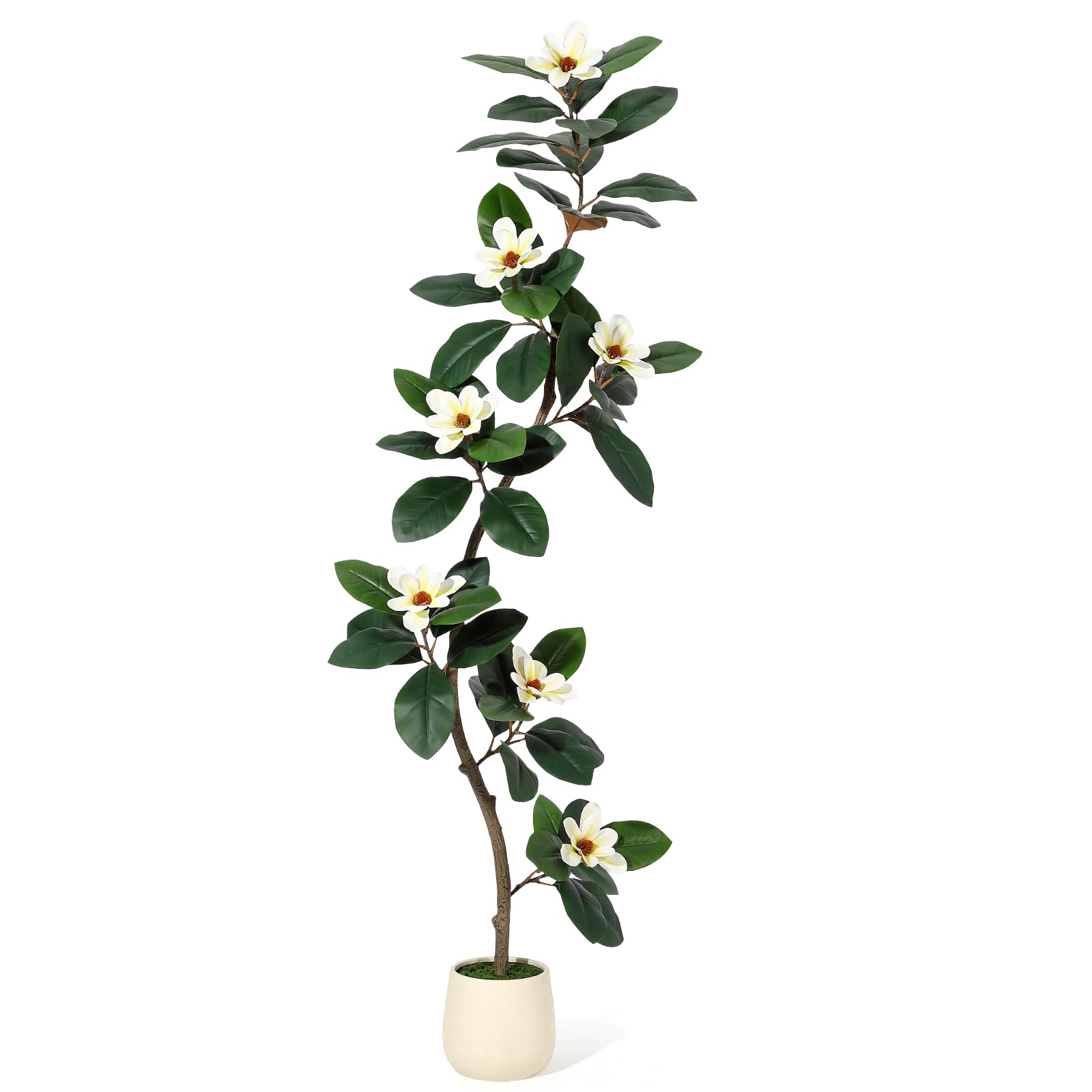 Garvee 6FT Tall Artificial Magnolia Tree with White Planters and 7 Pcs ...