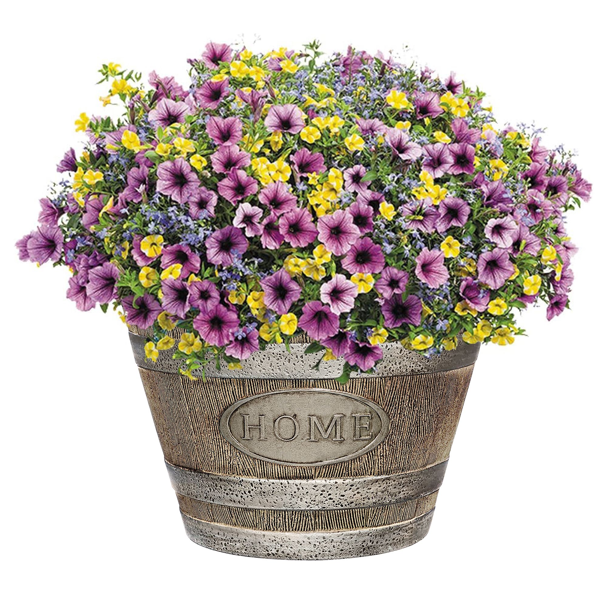 Classic Home & Garden Outdoor Round Whiskey inHomein Resin Flower Pot ...