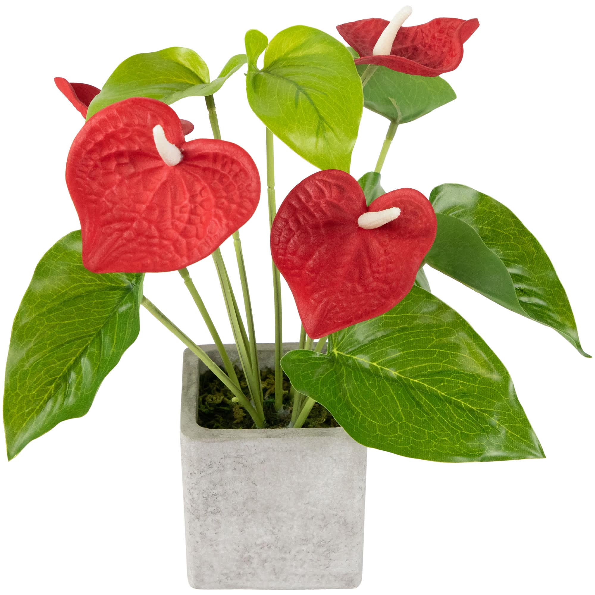 Northlight Anthurium Spring Floral Artificial Plant in a Square Pot ...
