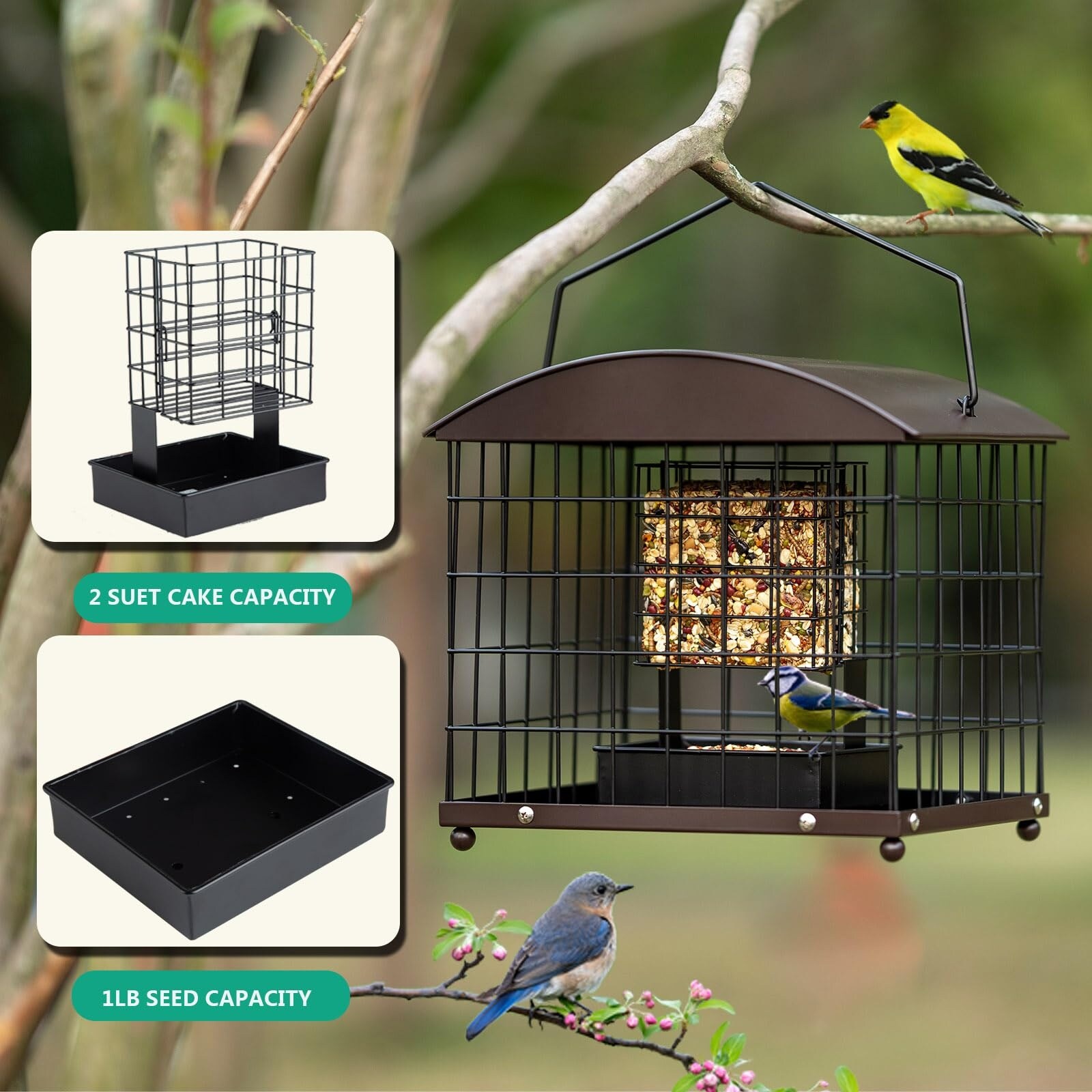 Adrinfly Caged Suet Bird Feeder Squirrel Proof Dual Purpose Metal ...