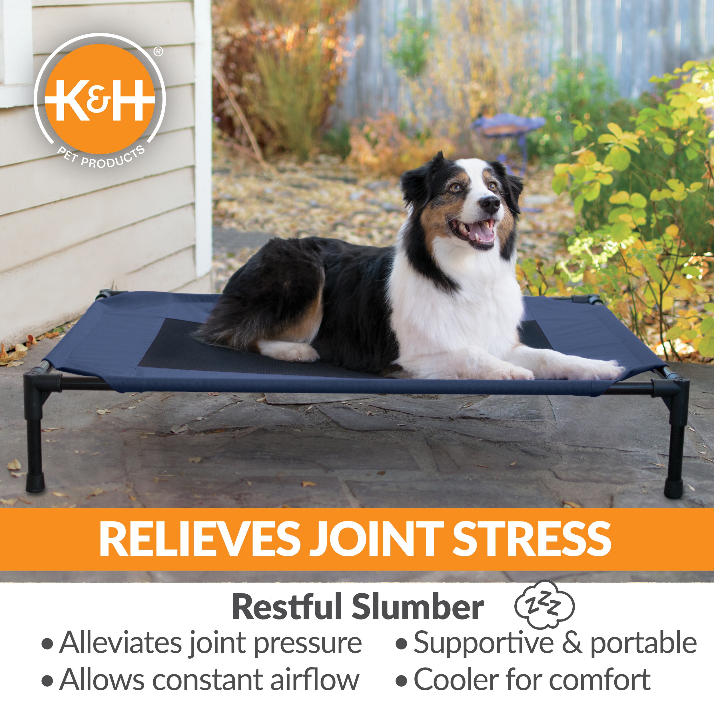 K&H Pet Products Original Pet Cot Large Navy 30in x 42in x 7in in the ...