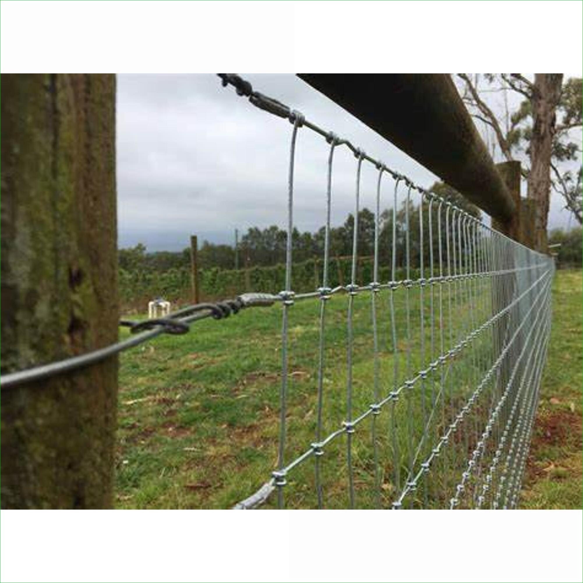 Watnature 4ft times 328ft 14 Gauge Brushed Silver Galvanized Heavy-Duty ...