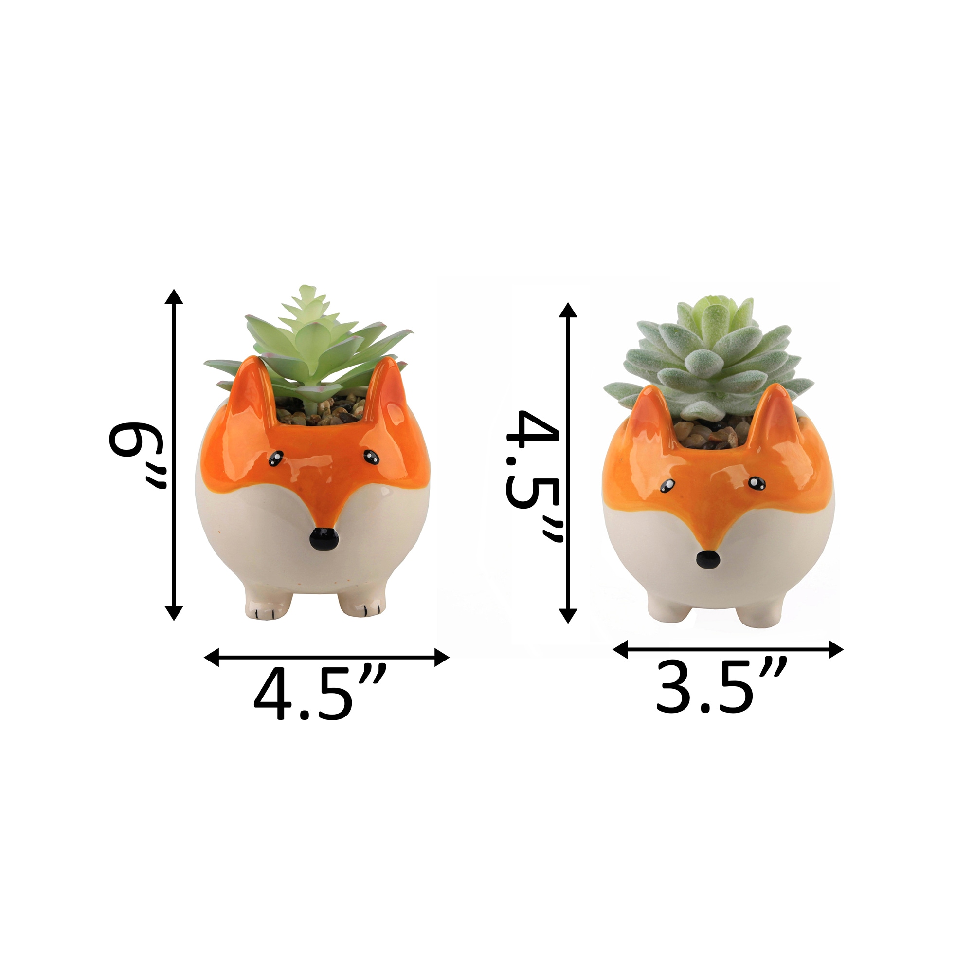 Flora Bunda 4.5-in Orange Indoor Desktop Succulent Artificial plant in ...