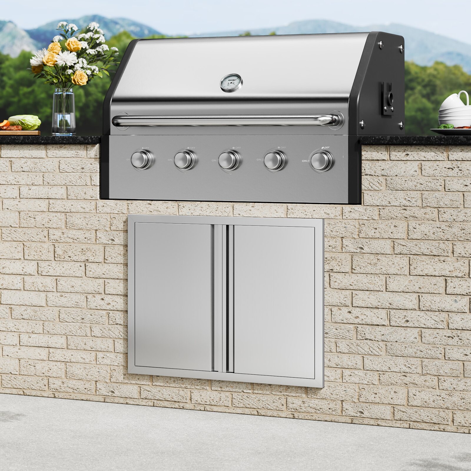 GIVIMO 31 in W x 24 in H Double Outdoor Kitchen Access Door Stainless ...