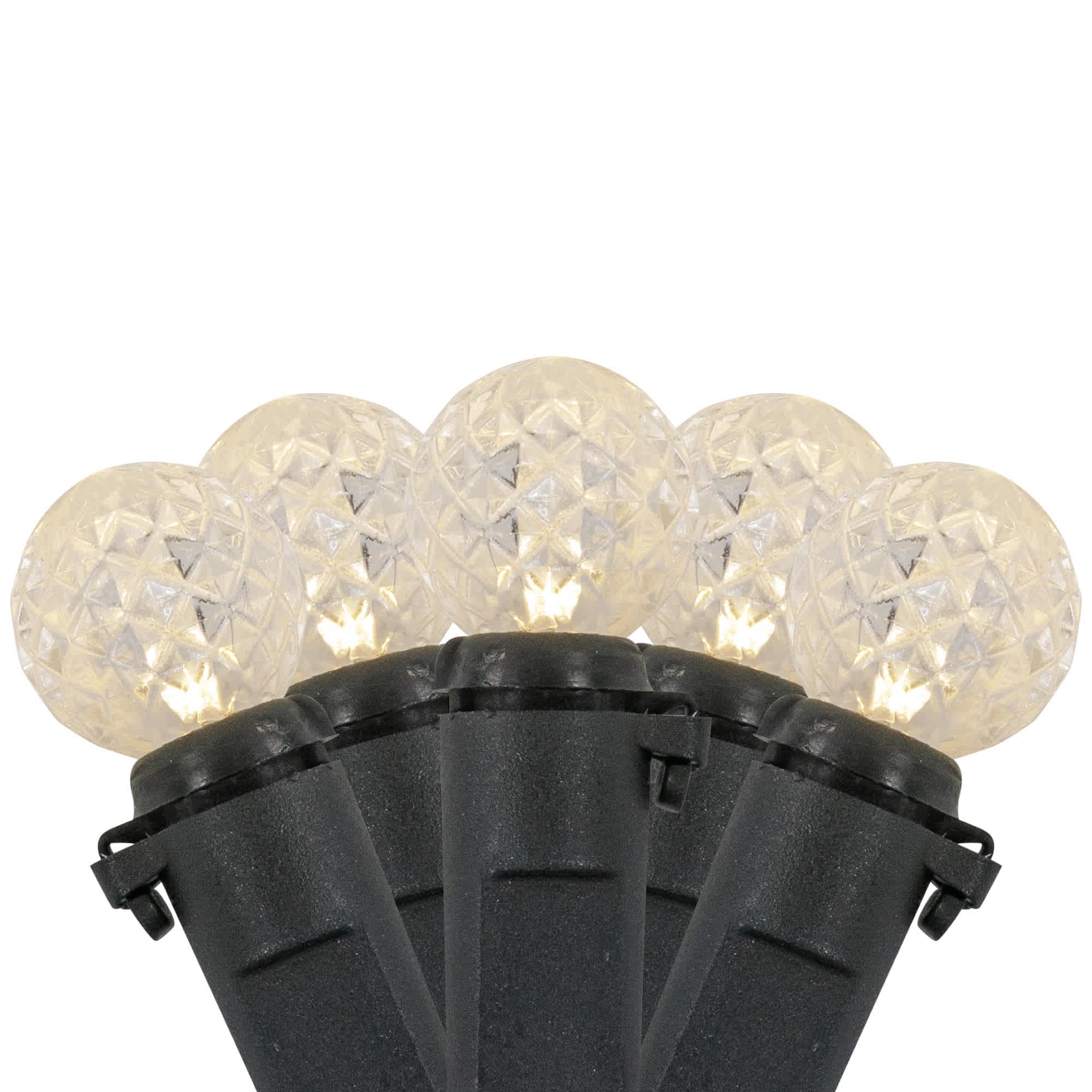 Northlight LED G12 Berry Christmas Lights - Warm White - 16 feet Black ...