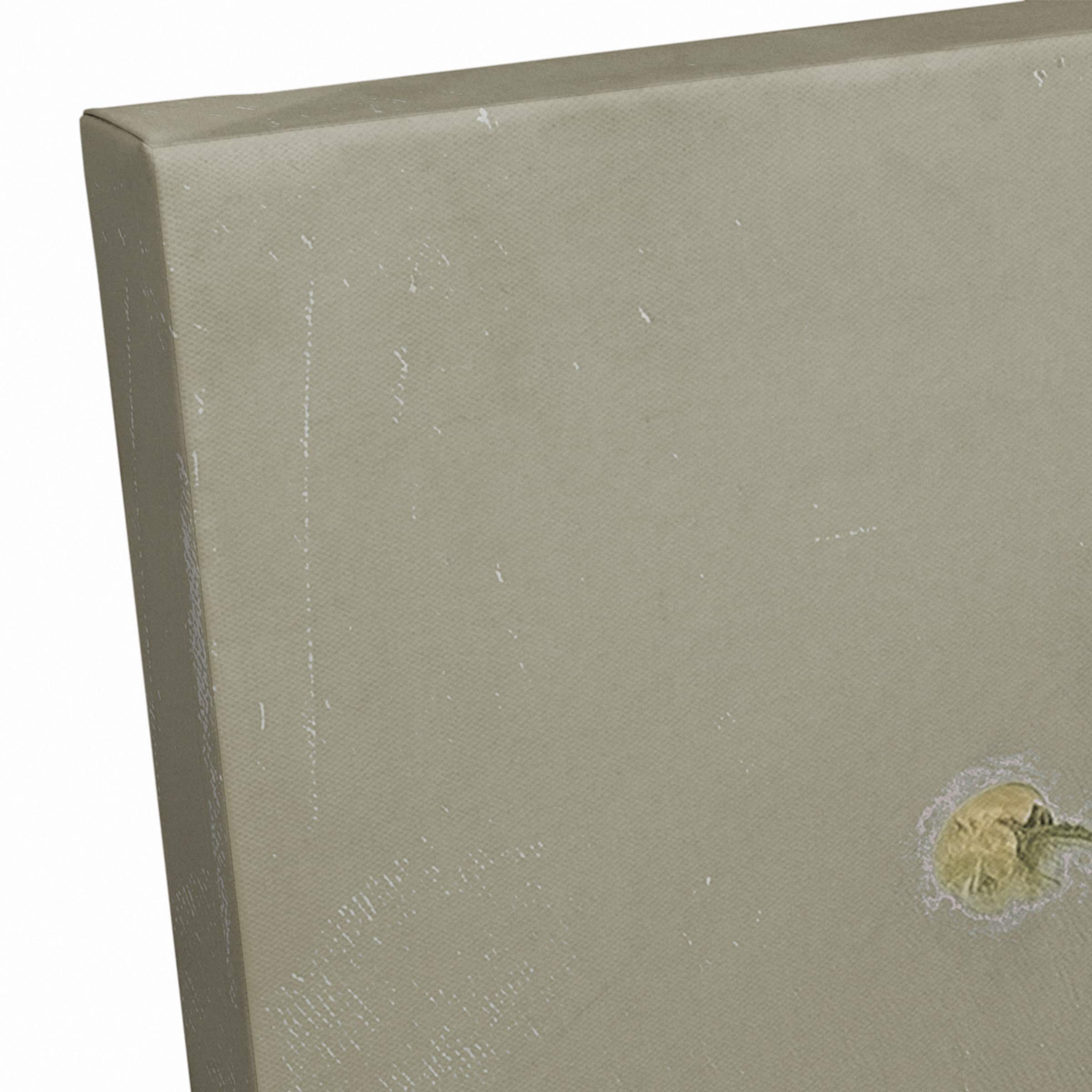 Creative Products Green and White Poppy Still Life 30 x 30 Canvas Wall ...