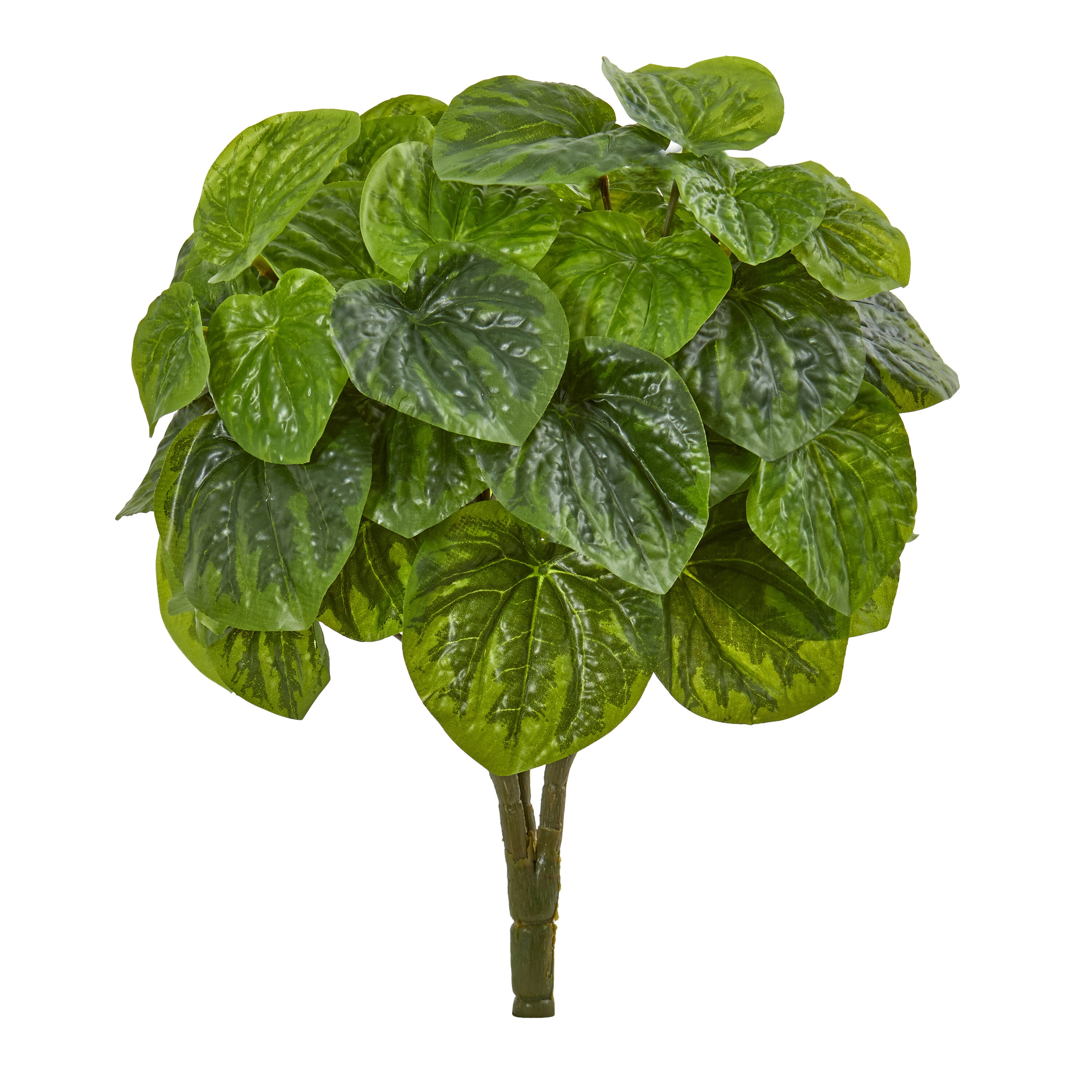 Nearly Natural 14-in Peperomia Artificial Plant (Set of 6) (Real Touch ...