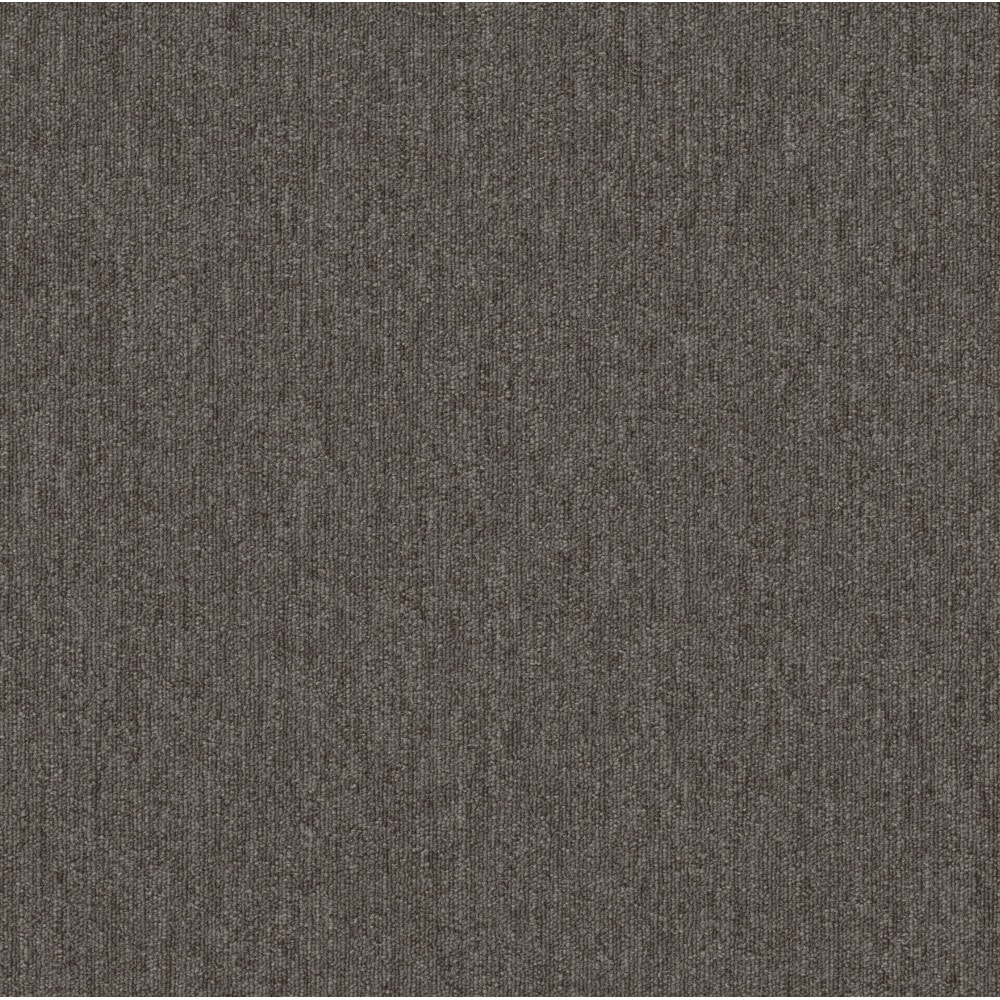 Shaw Philadelphia Commercial Infinium 26 Piles Brown 26-oz sq yard High ...
