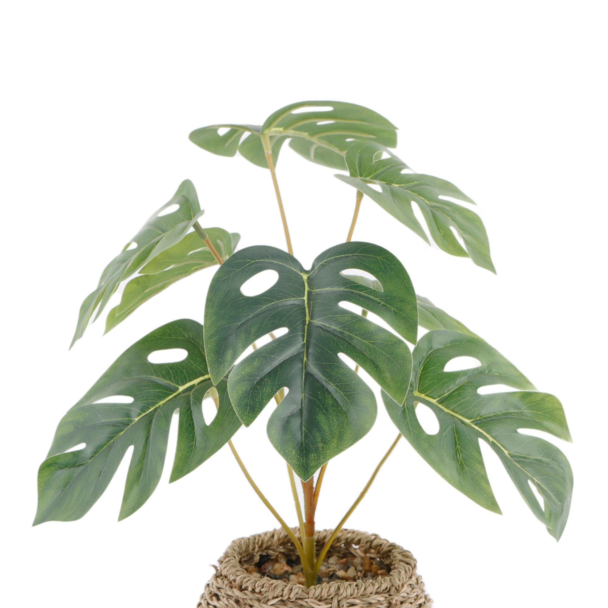 Flora Bunda 14.5-in Brown Indoor Desktop Pothos Artificial plant in the ...