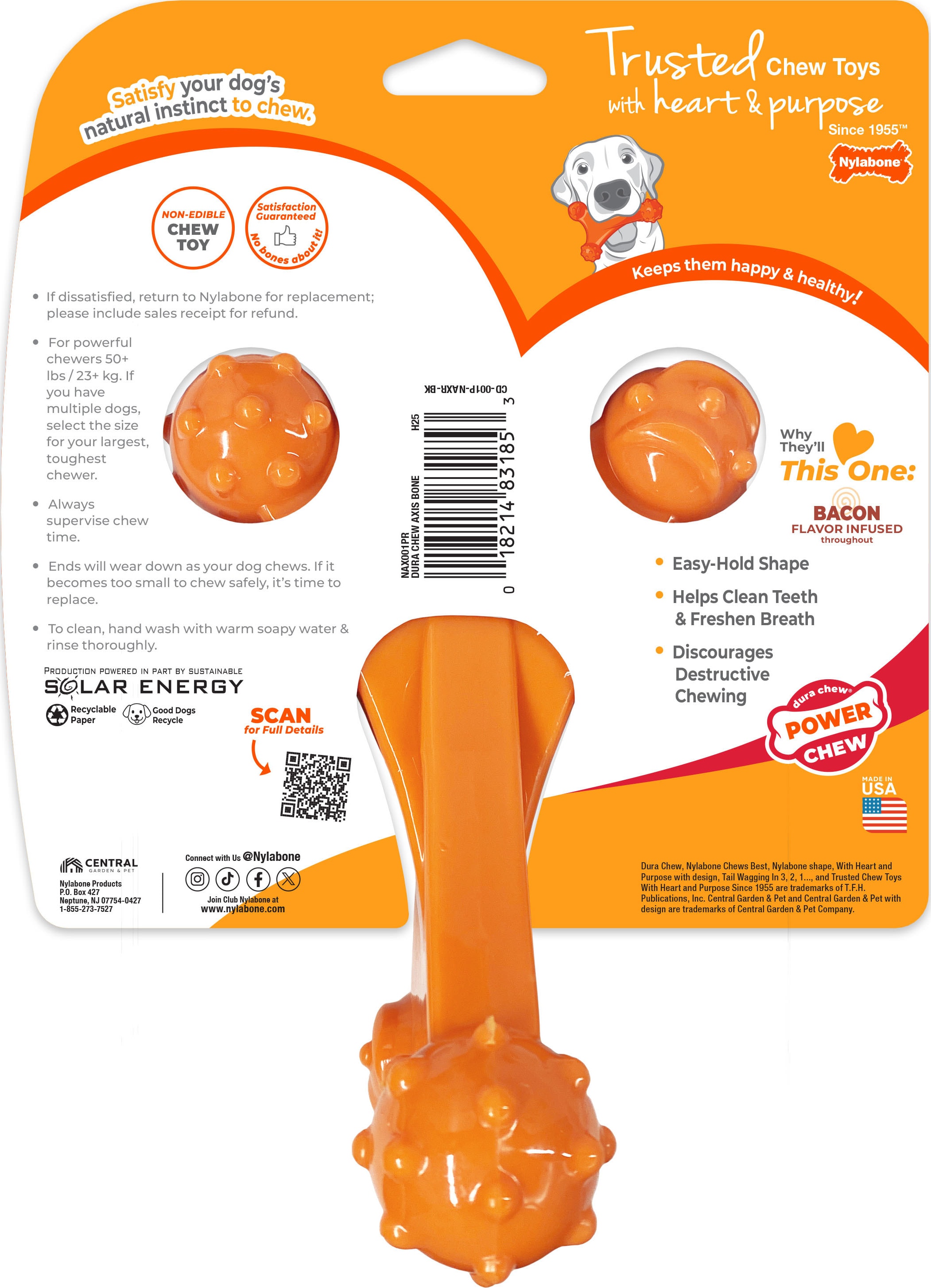 Nylabone Power Chew Axis Bone in the Pet Toys department at Lowes.com