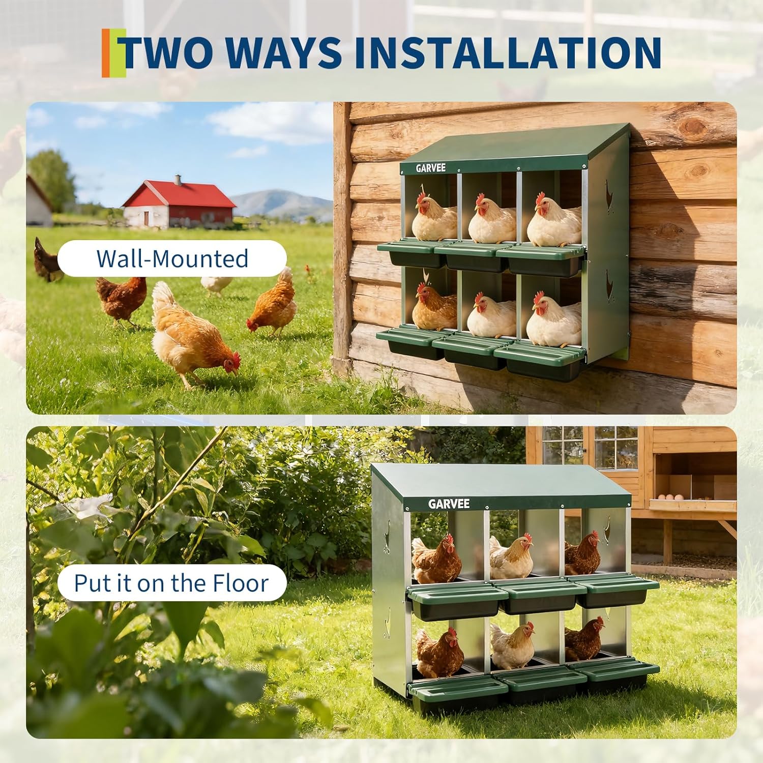 GAOMON 6-Hole Metal Chicken Nesting Box with Roll Away Egg Tray Wall ...