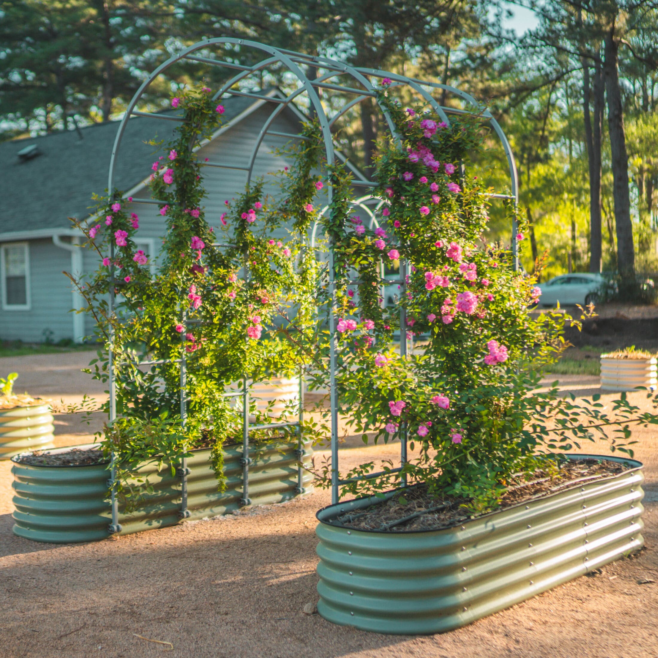 Vego Garden VAT 24-in W x 90-in H Painted Finish Steel Garden Trellis ...