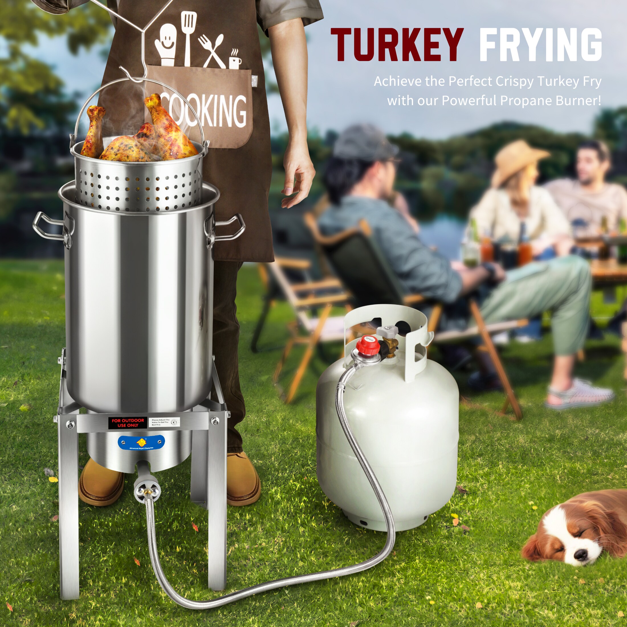 ARC Advanced Royal Champion 1-Burner Propane Manual Stainless Steel ...