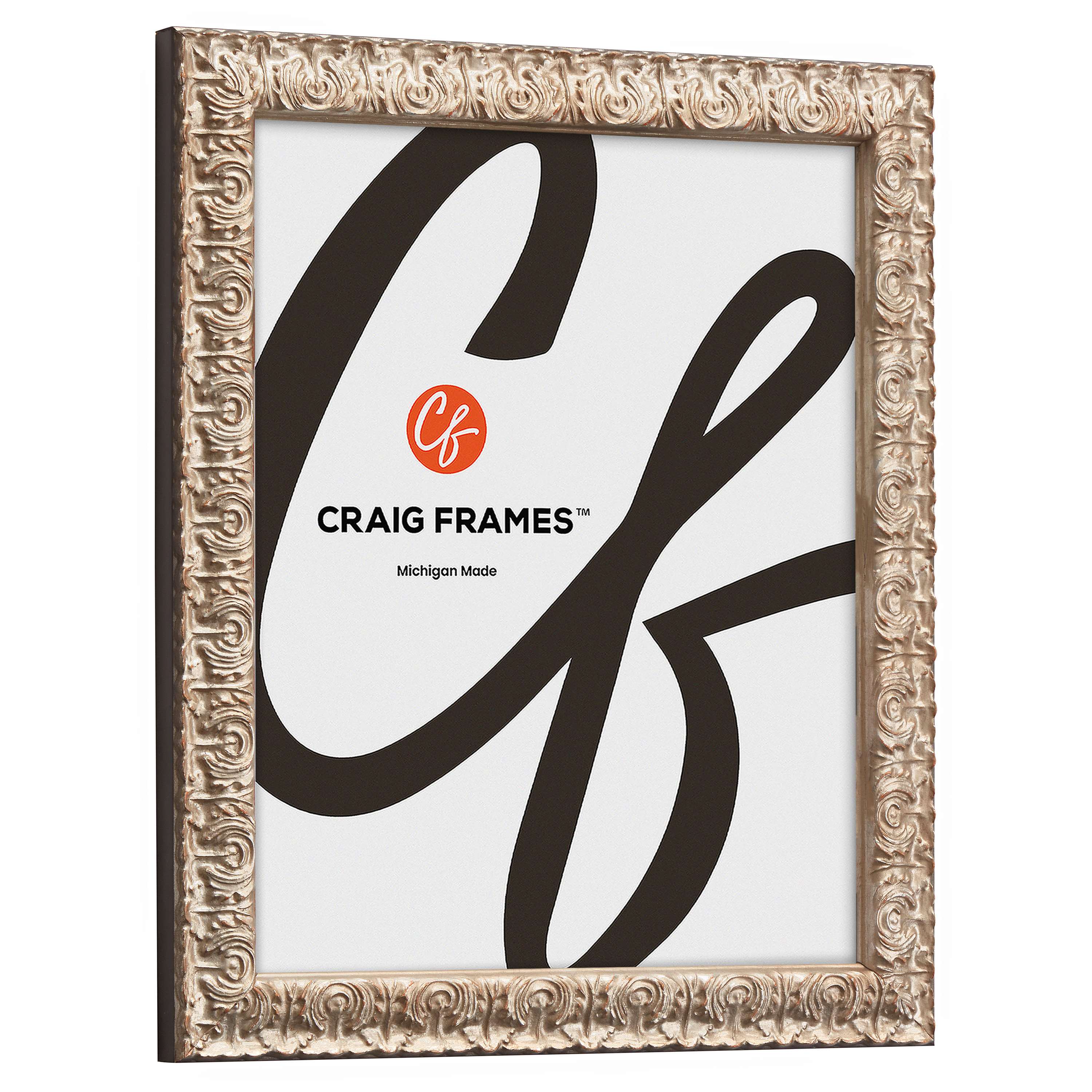Craig Frames 14x20 Matted to 11x17 Picture Frame Silver Versailles 1 ...