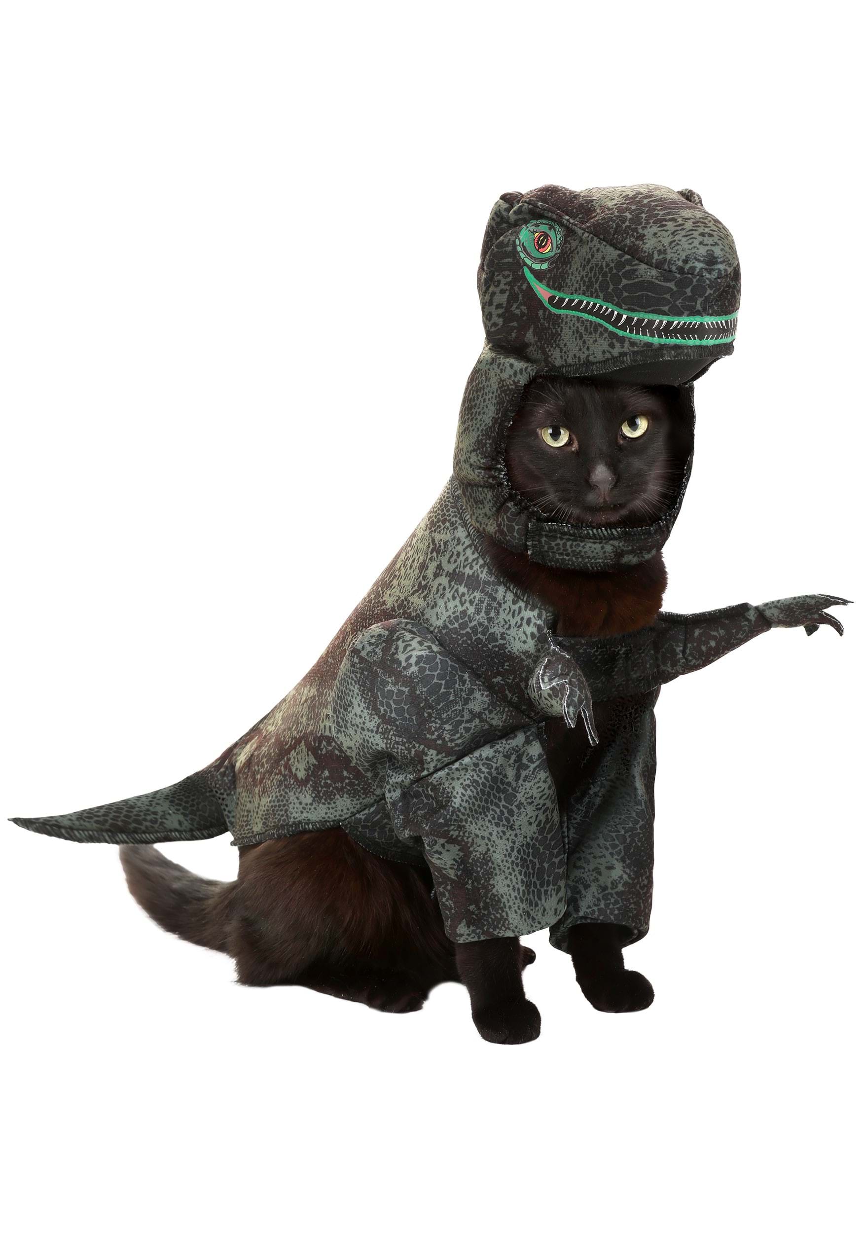 California Costumes California Costume Collection Pupasaurus Rex Pet ...