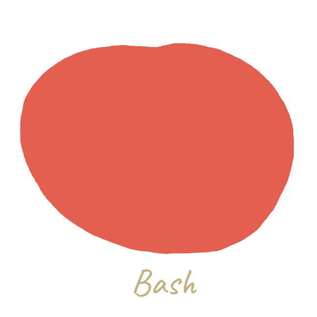 Color Baggage Project Paint Satin Bash Acrylic Interior/Exterior Door ... Color Baggage Project Paint Satin Bash Acrylic Interior/Exterior Door ...
