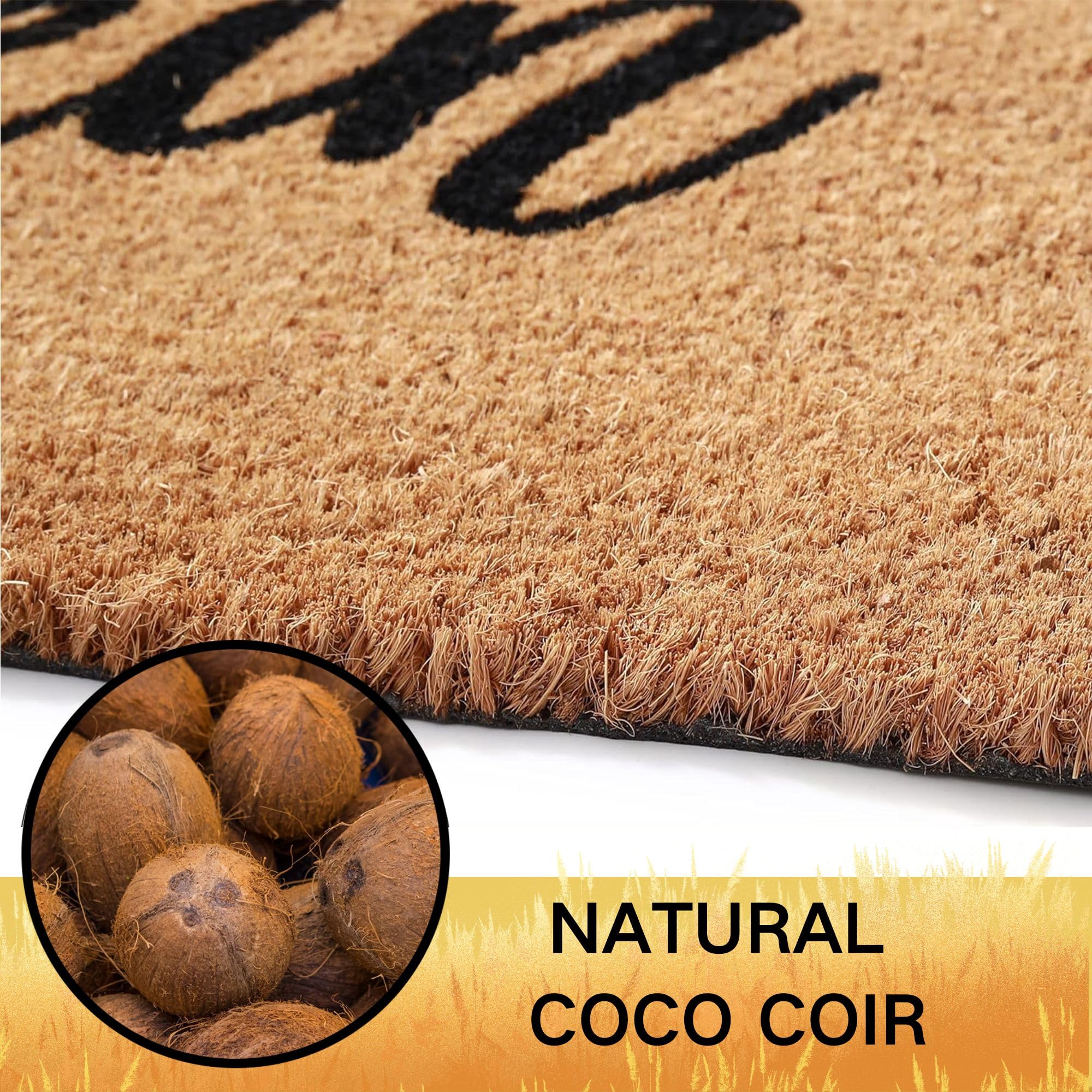 SenQWFa Fall Decor Doormat Combo Set Welcome Coco Coir Welcome Mat and ...