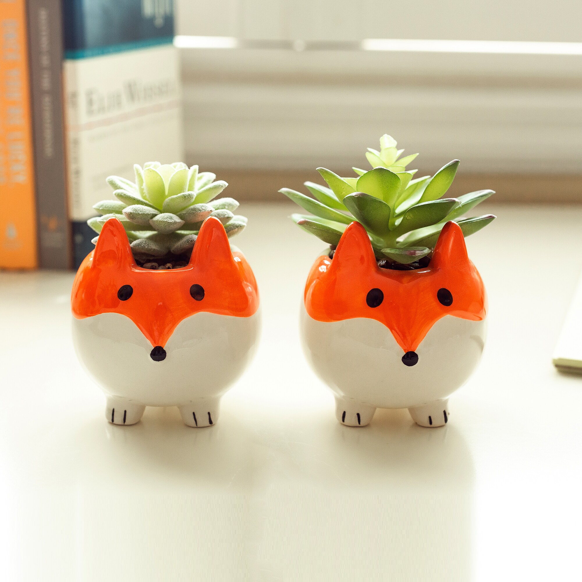 Flora Bunda 4.5-in Orange Indoor Desktop Succulent Artificial plant in ...