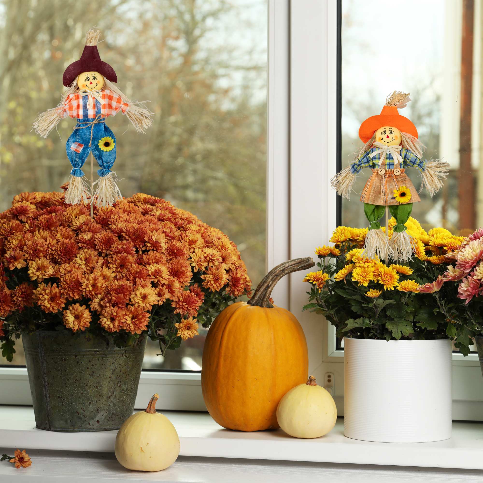 Northlight Boy and Girl Fall Harvest Scarecrow Crafting Picks - 18 inch ...