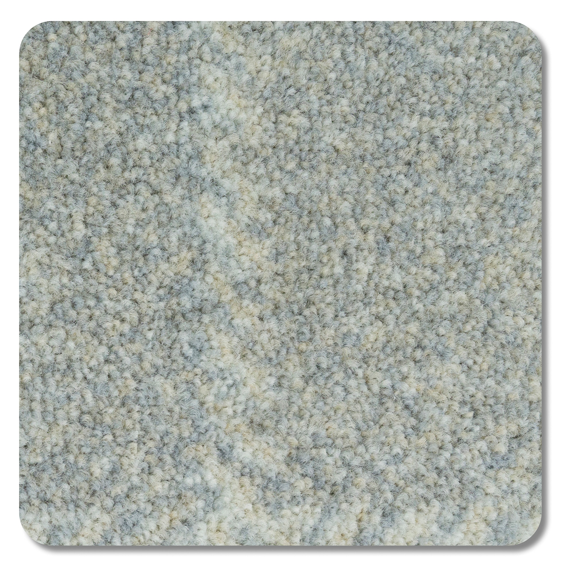 Joy Carpets Broadhaven Room To Grow Clay Tan 26-oz sq yard Nylon ...