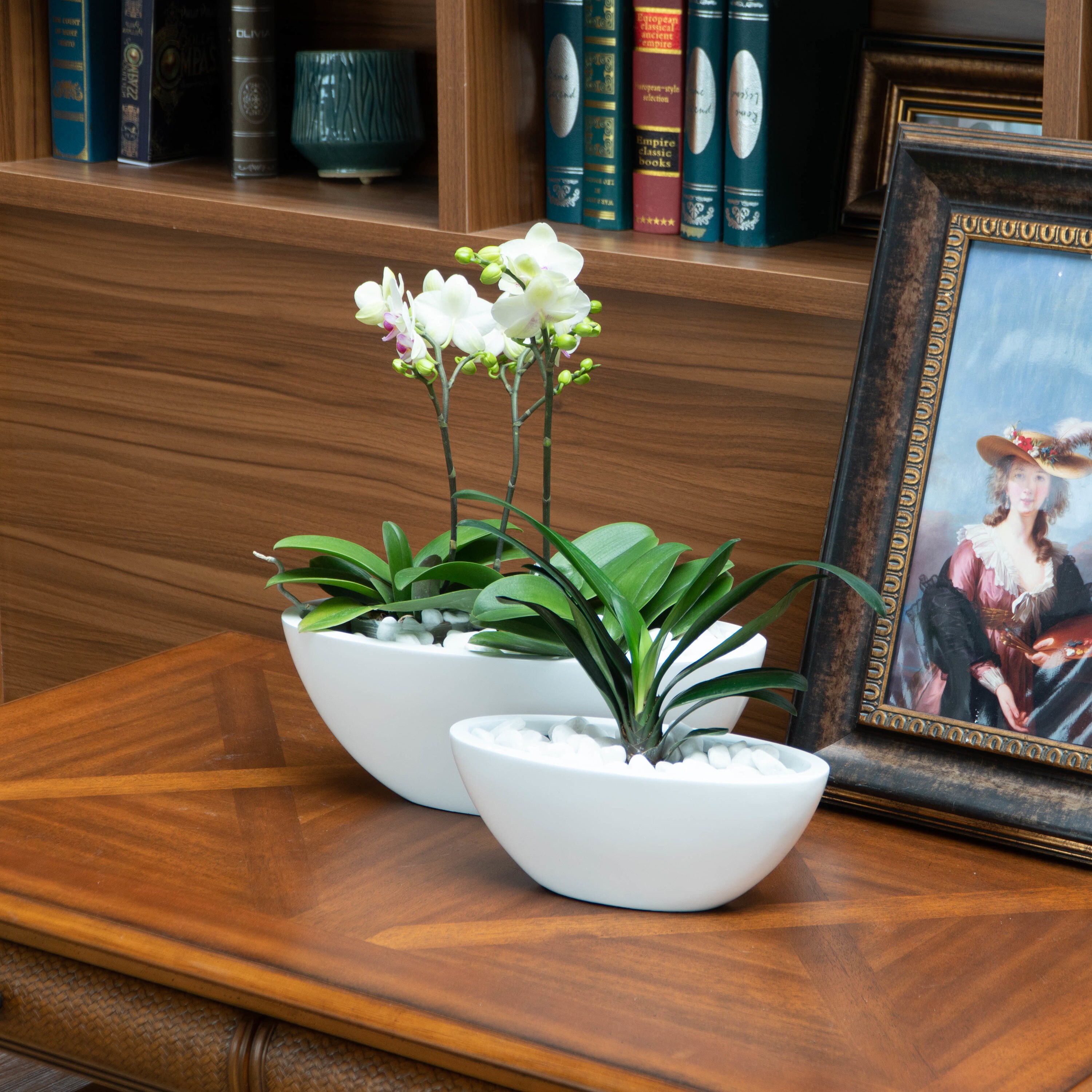 Vasesource 6.5-in W Medium White Mixed/Composite Indoor/Outdoor Planter ...