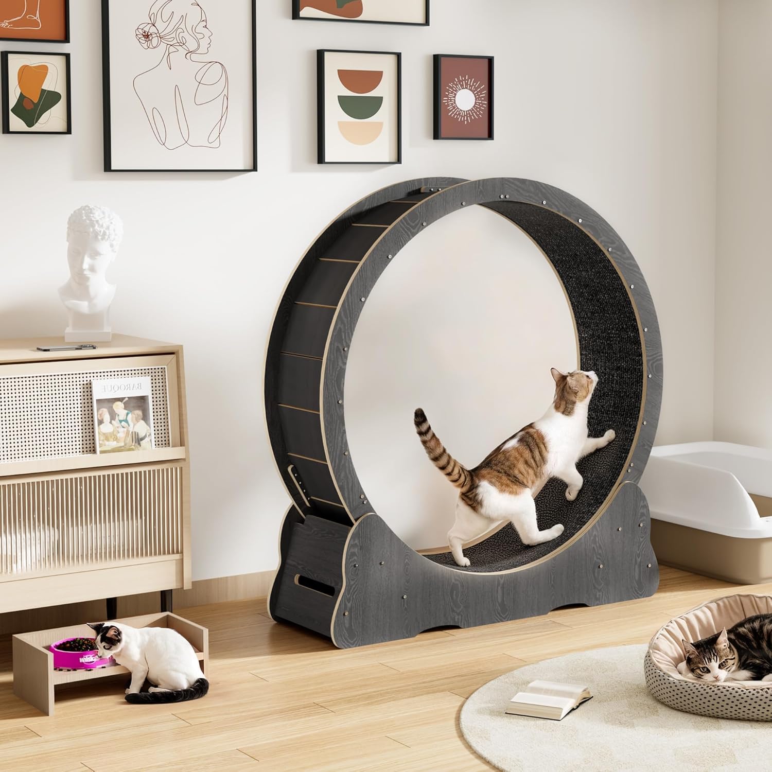 AECOJOY Cat Wheel for Indoor Cats large Quiet Cat Treadmill with ...