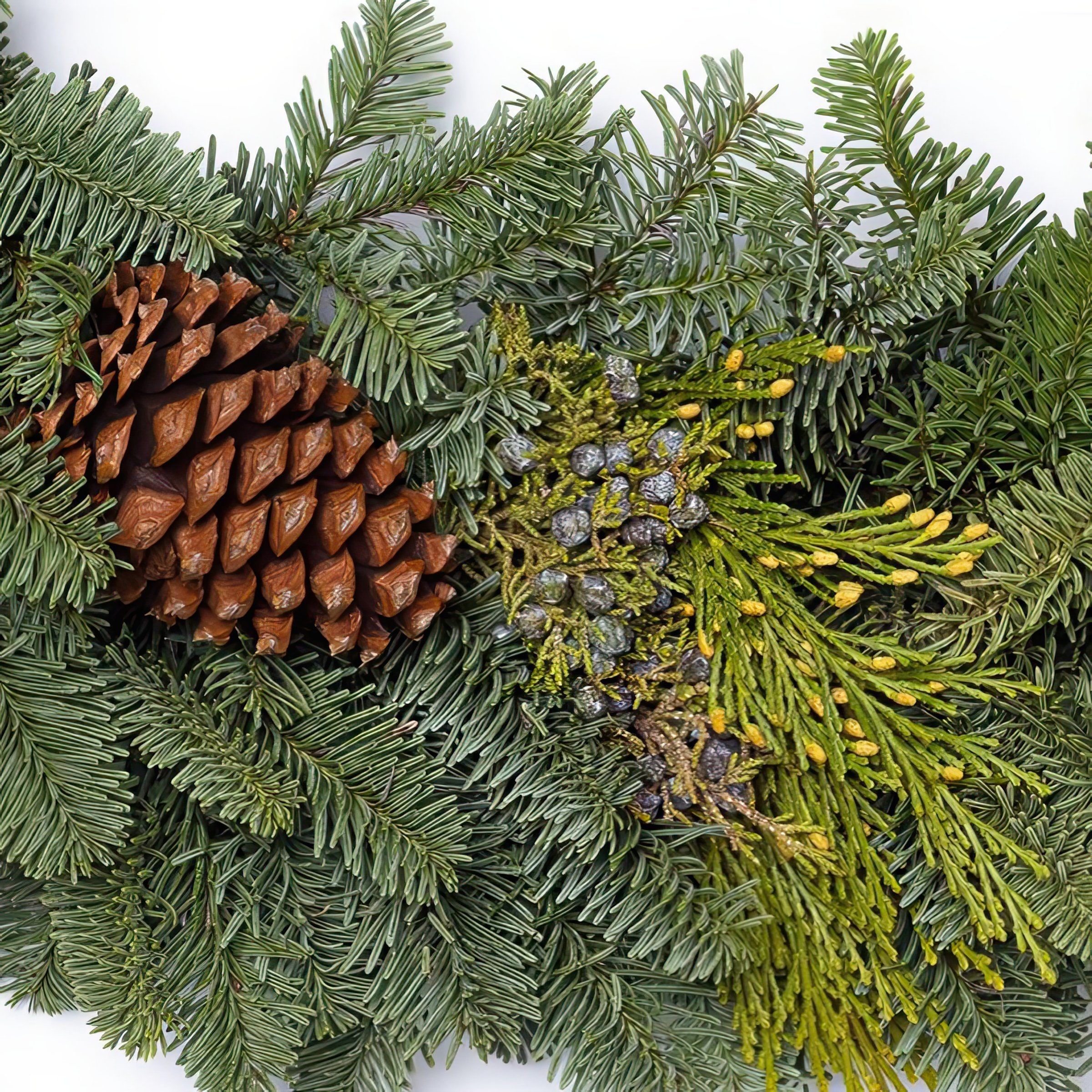 National Plant Network 24-in Real Noble Fir Christmas Wreath LW1861 at ...