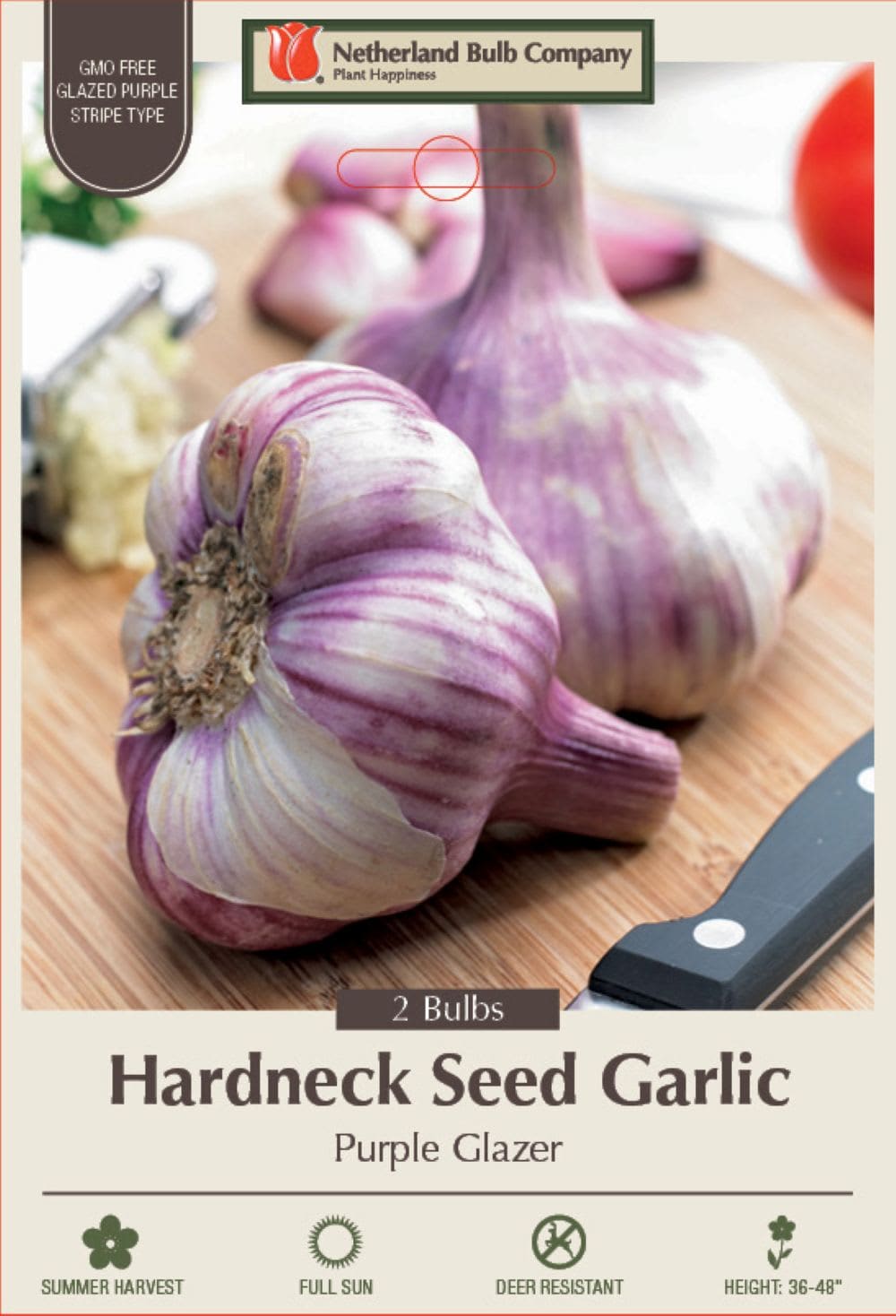 Hirt's Gardens Purple Glazer Garlic Bulbs - Strong - 2 Medium Bulbs in ...