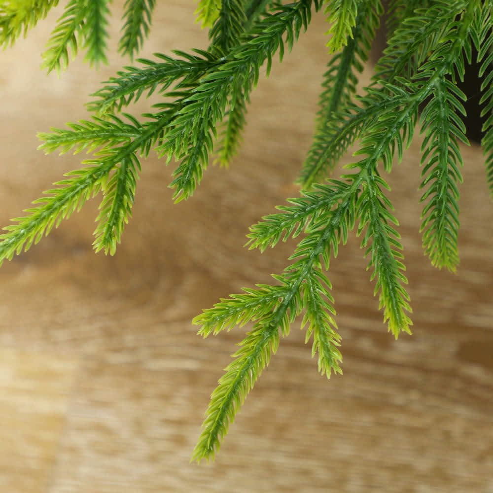 Choco Moon 2 Pack 4ft Artificial Norfolk Pine Christmas Trees with 133 ...