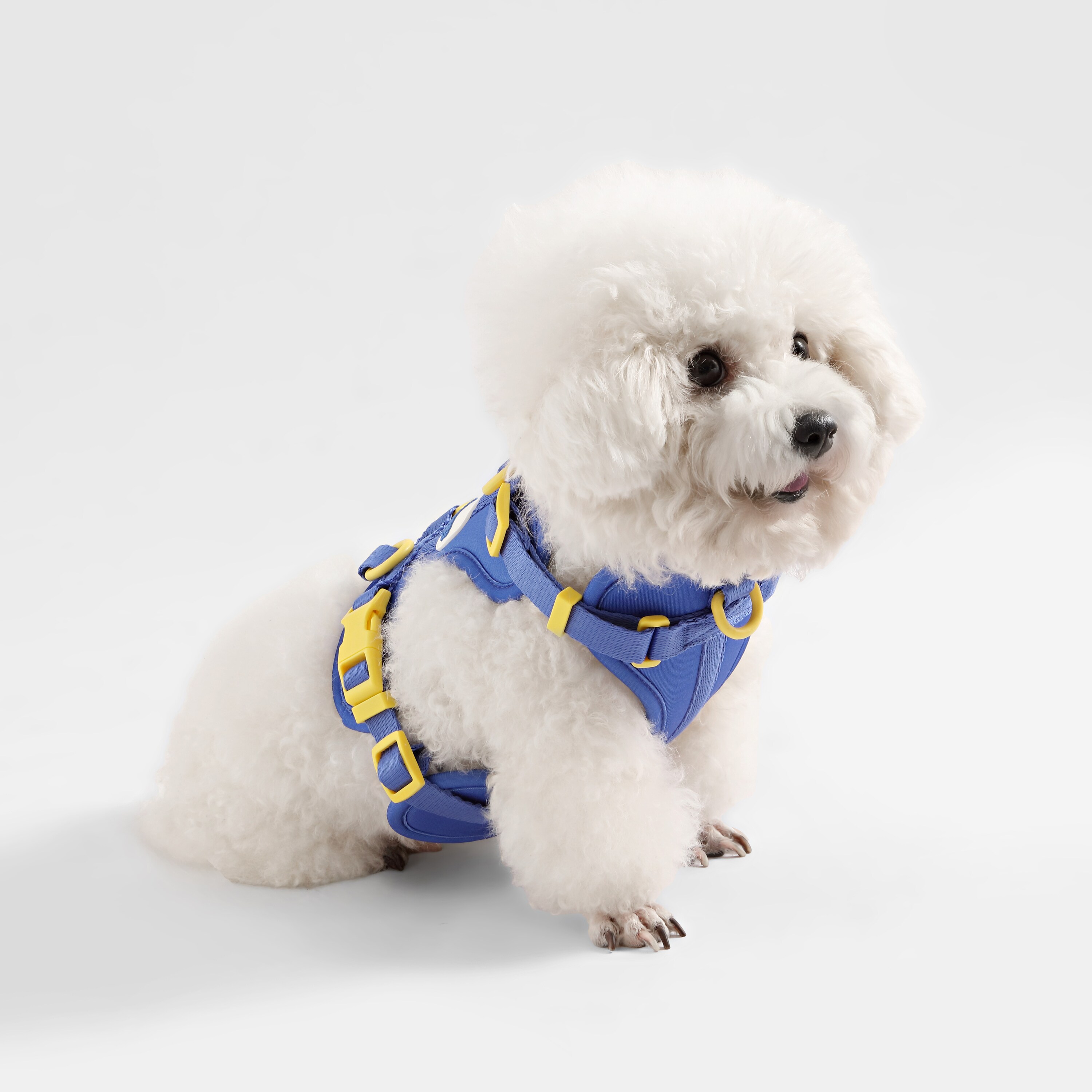 The Licker Store Arlo Small Adjustable Soft Padded No Pull Pet Harness ...