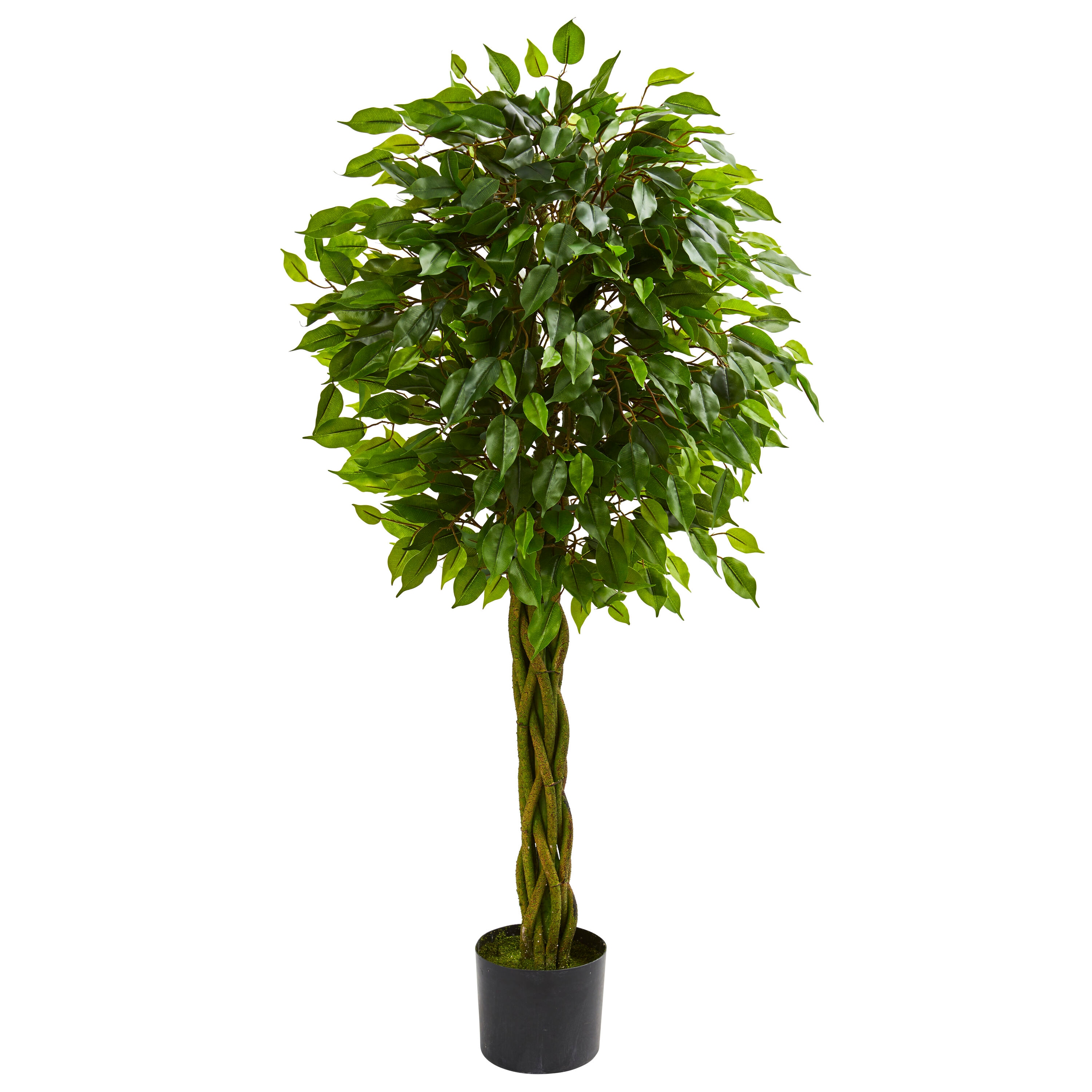 Nearly Natural 4-ft Ficus Artificial Tree with Woven Trunk - UV ...