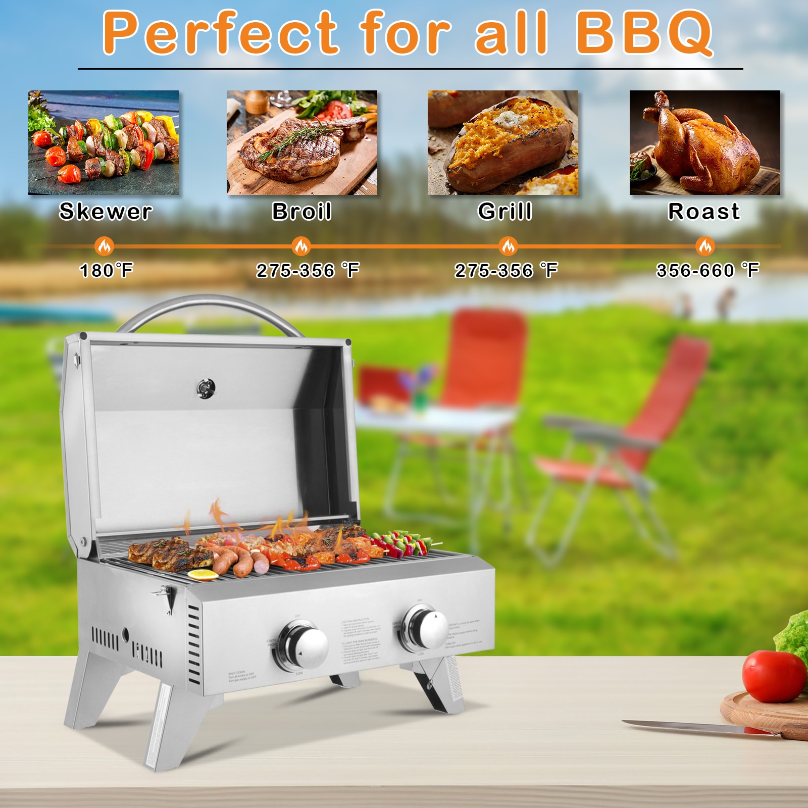 ROVSUN 20000BTU 2-Burner Portable Tabletop Propane Gas Grill with ...
