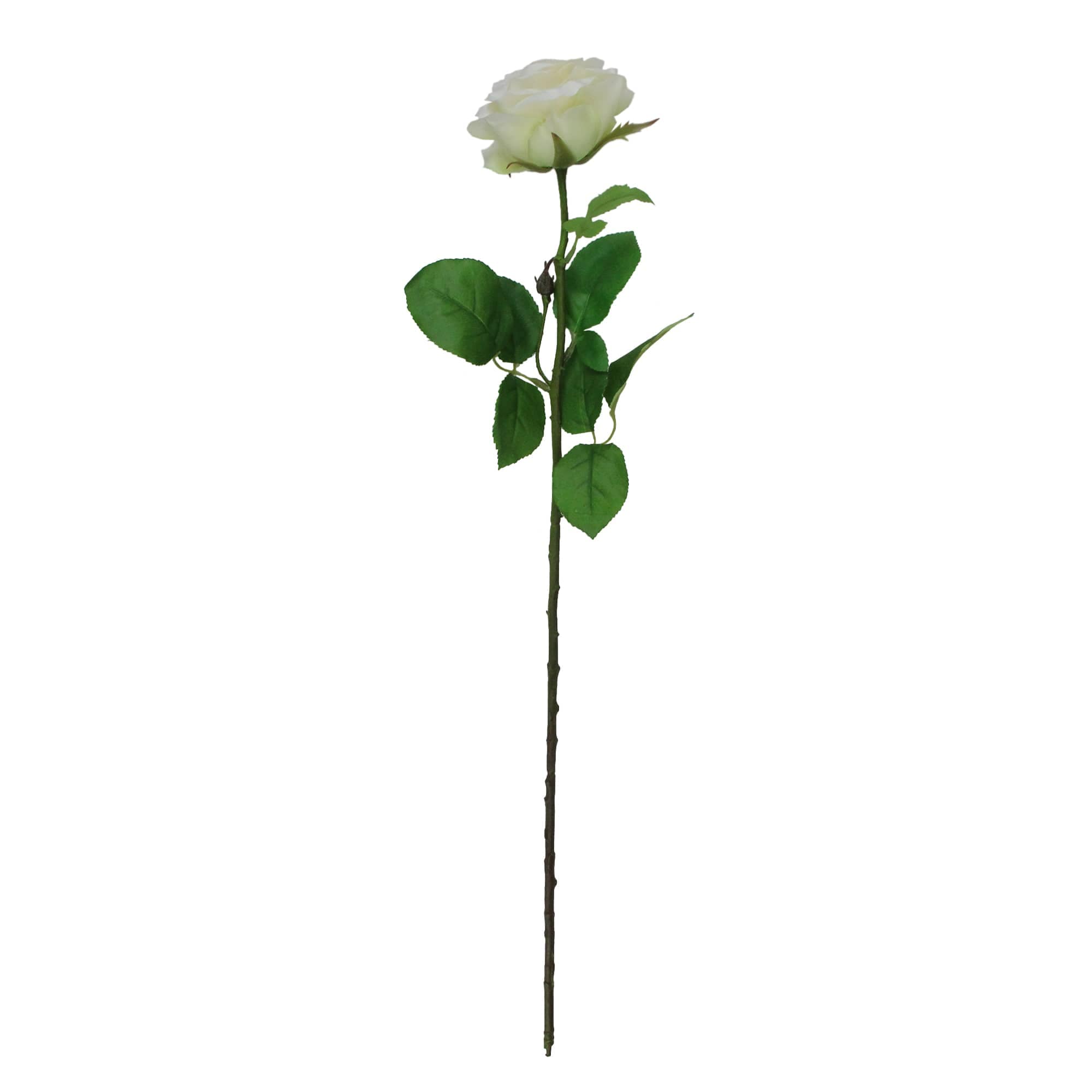 Select Artificials 27 inch White and Green Long Single Stem Budding ...