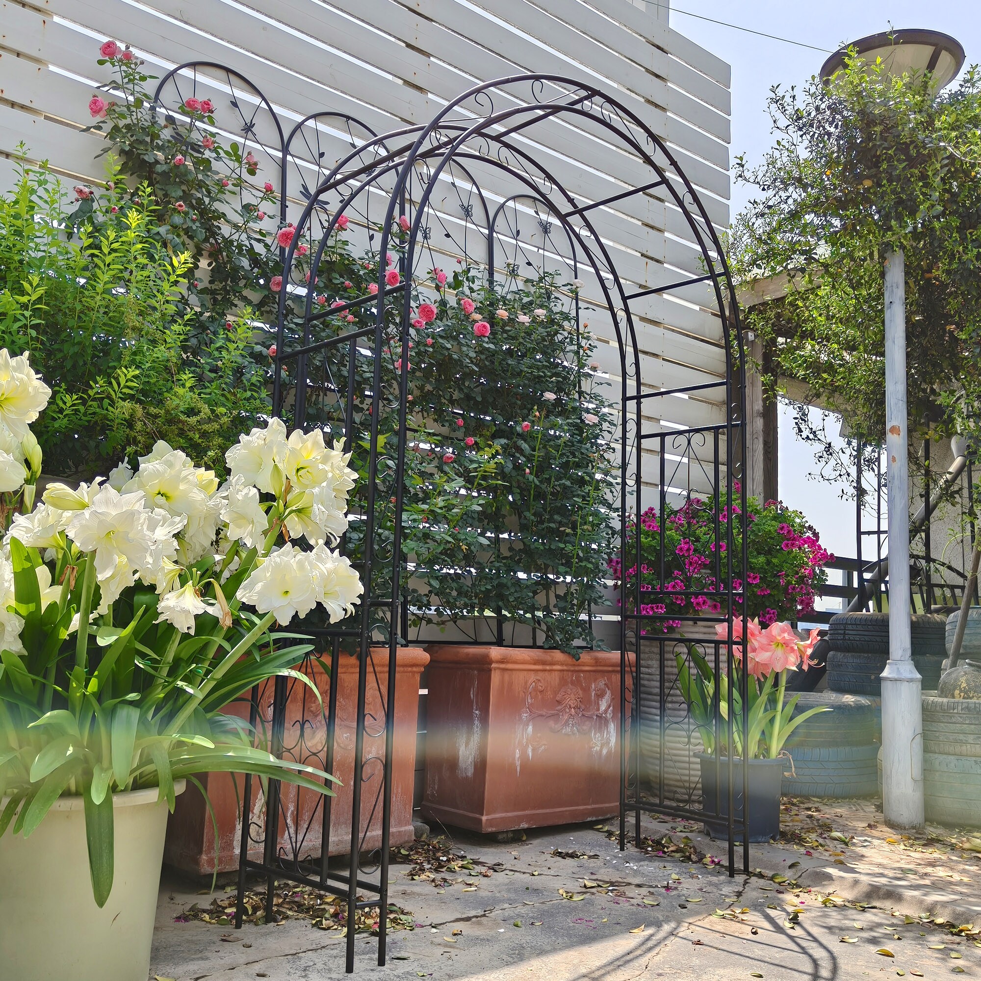 LUXEYARD Metal Garden Arch L59Inchx W17.71Inchx H90.55InchClimbing ...