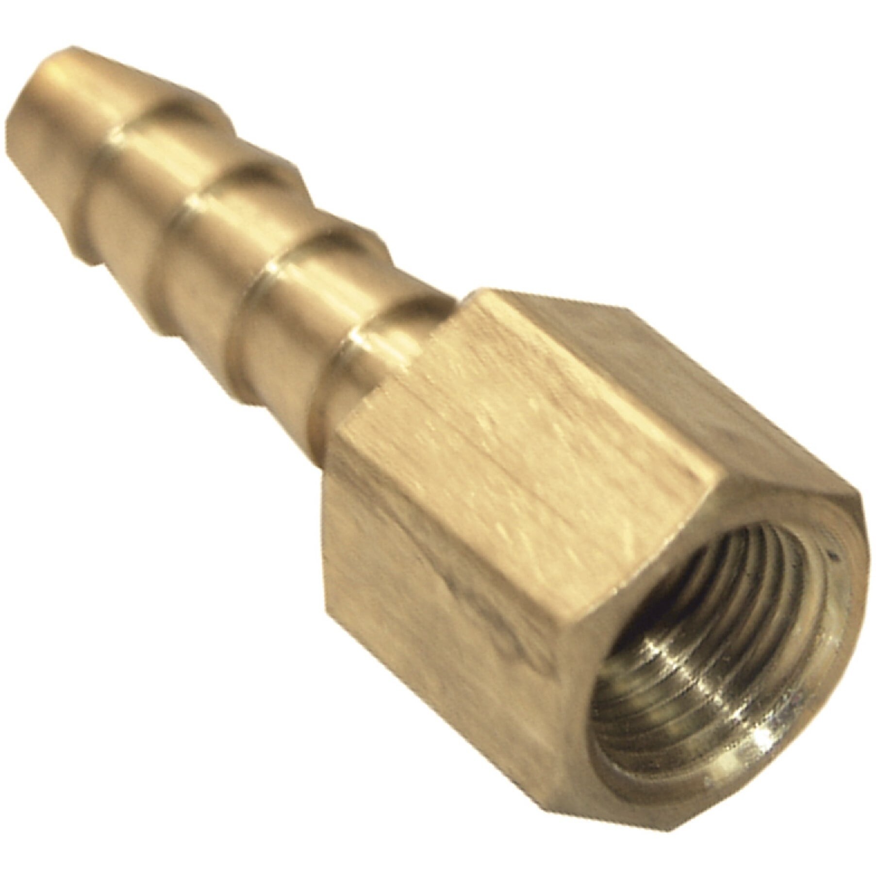 LASCO 17-7601 1/8-Inh Feale Pipe Thead o 1/8-Inh Hose Bab Bass Adape in ...