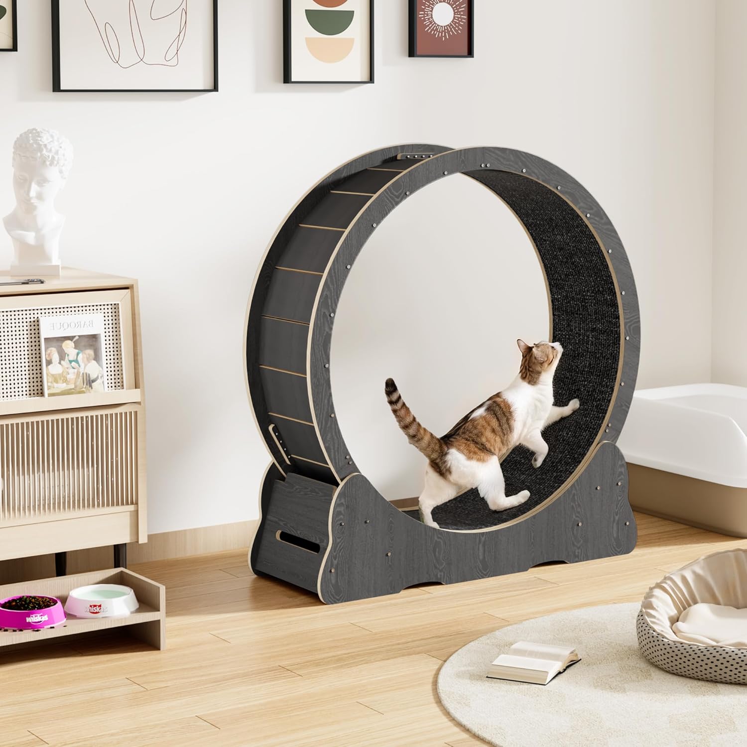 AECOJOY Cat Exercise Wheel for Indoor Cats Quiet Large Cat Treadmill ...