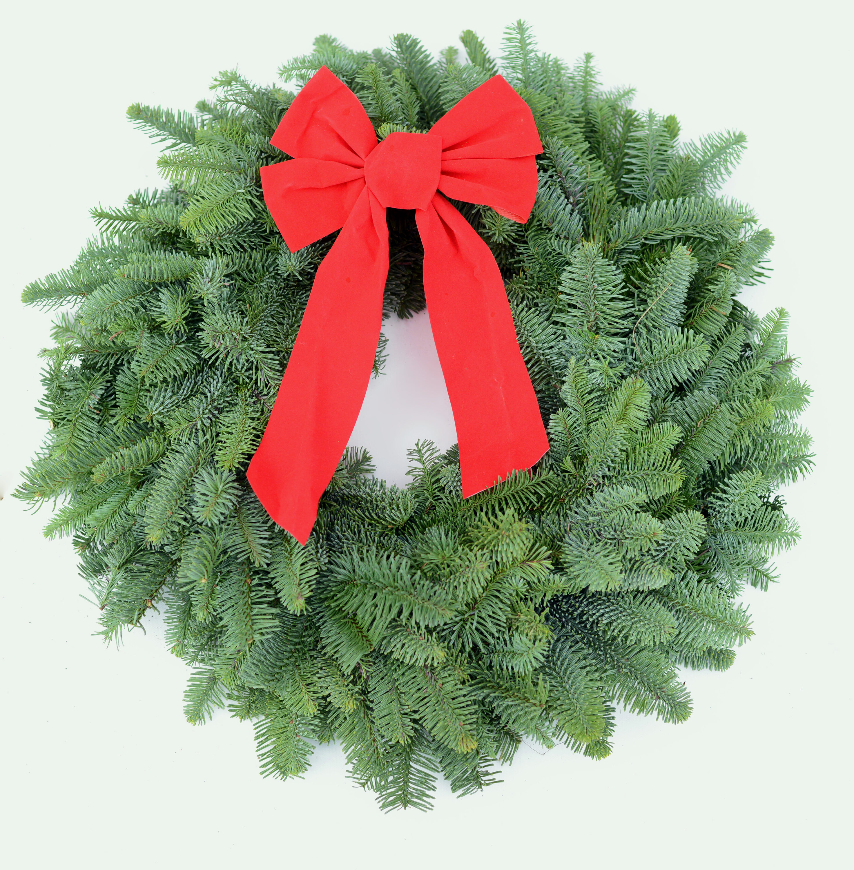 Holiday Specialtrees 6-in H Christmas Wreath 498219 at Lowes.com
