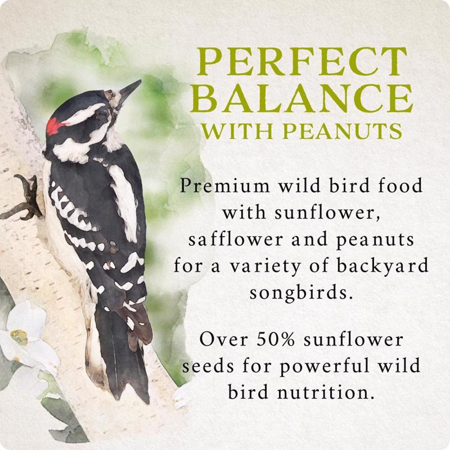 Audobon Perfect Balance Wild Bird Food 5 lb in the Bird & Wildlife Food ...