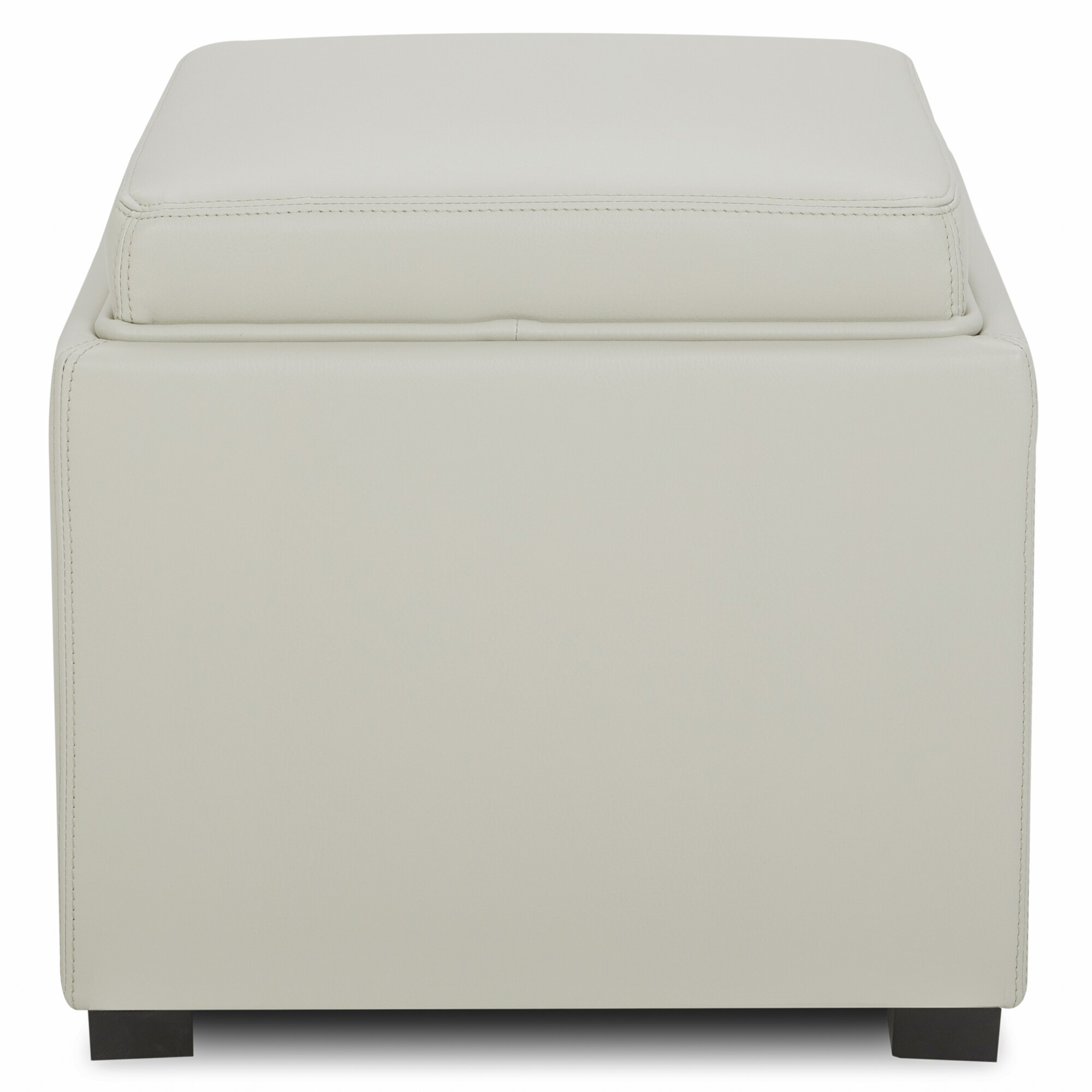 Circle 55 Modern Light Gray/2PC Faux leather Storage Ottoman in the ...