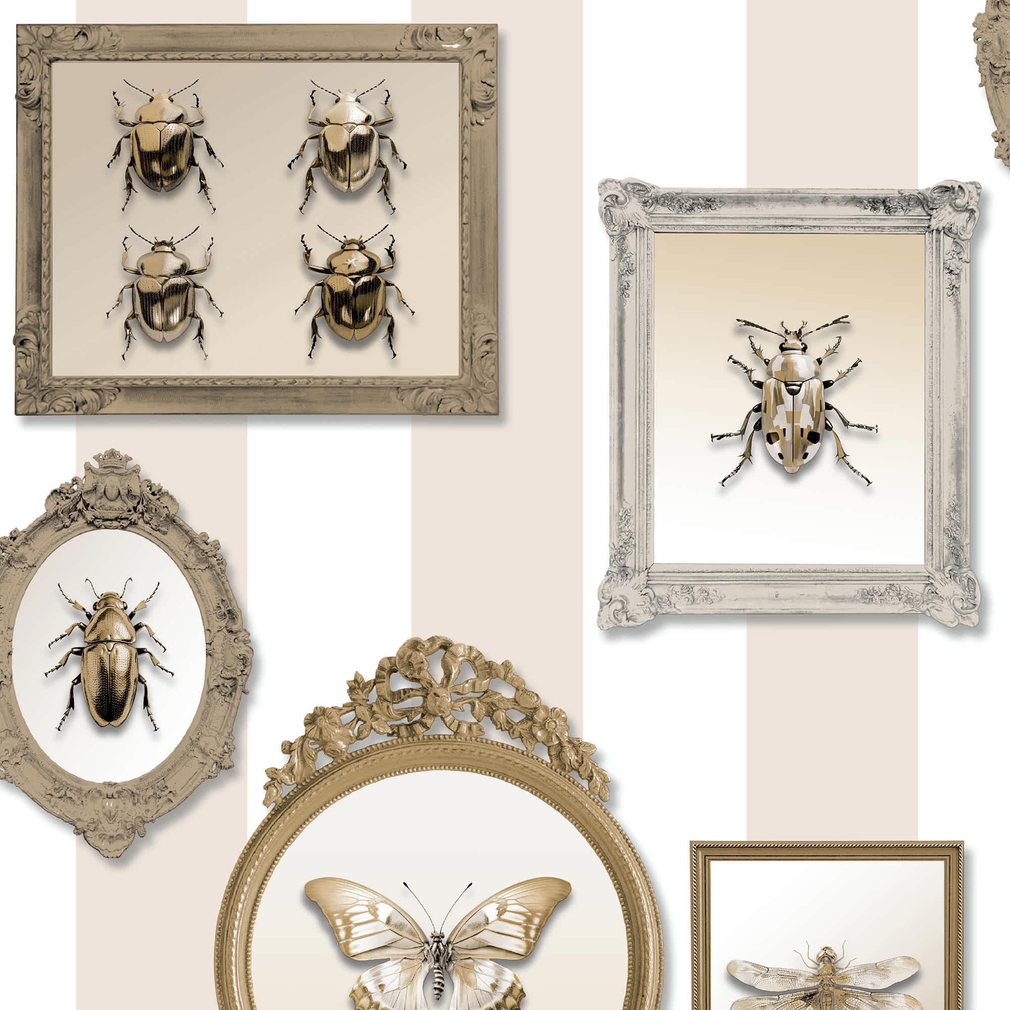 Veer Decor Entomology Gallery Beige Wallpaper in the Wallpaper ...