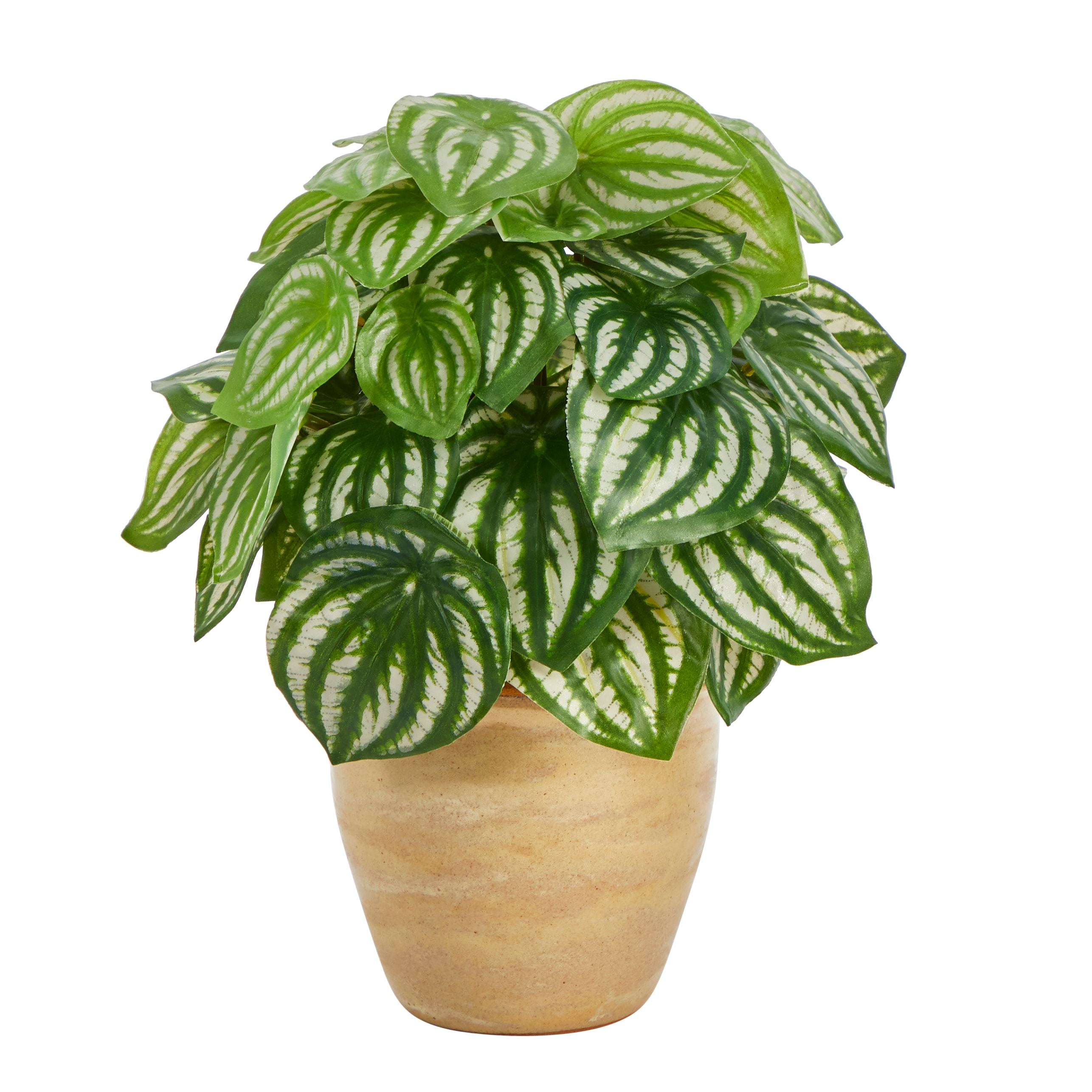 Nearly Natural 11-in Watermelon Peperomia Artificial Plant in Ceramic ...