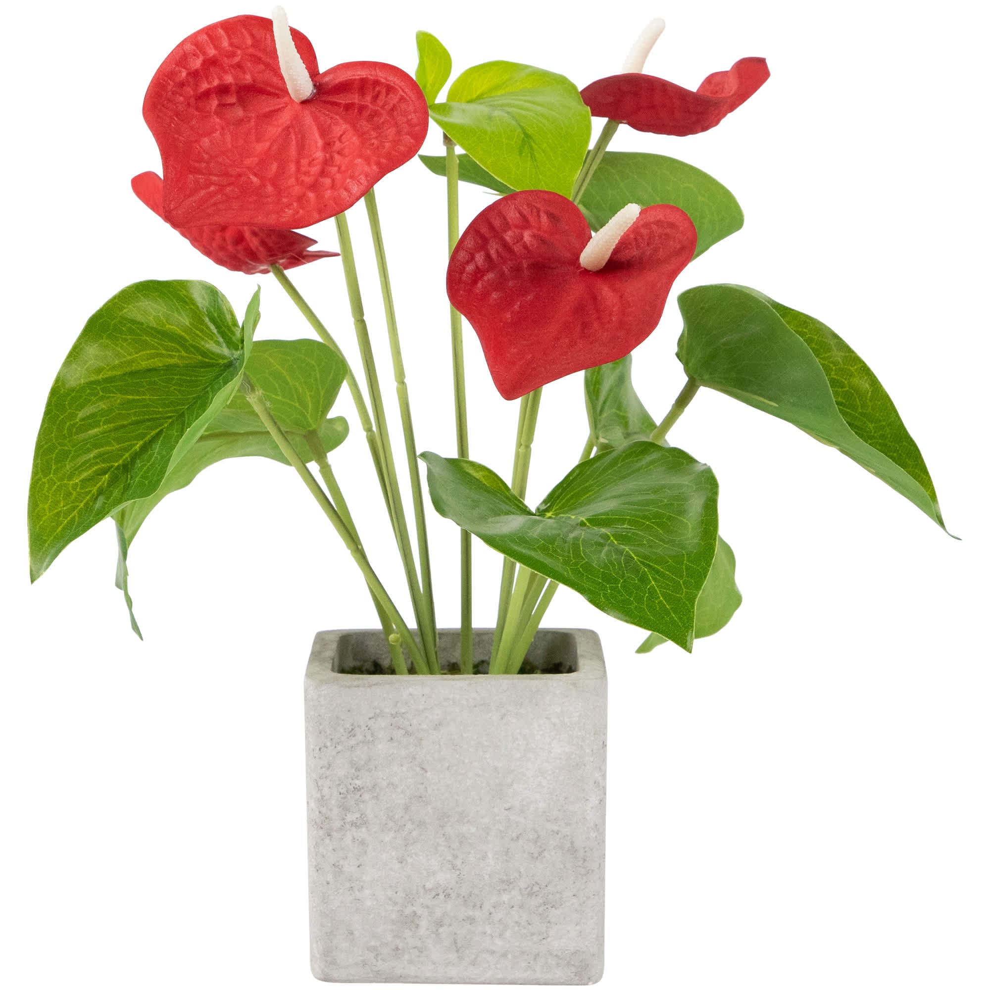 Northlight Anthurium Spring Floral Artificial Plant in a Square Pot ...