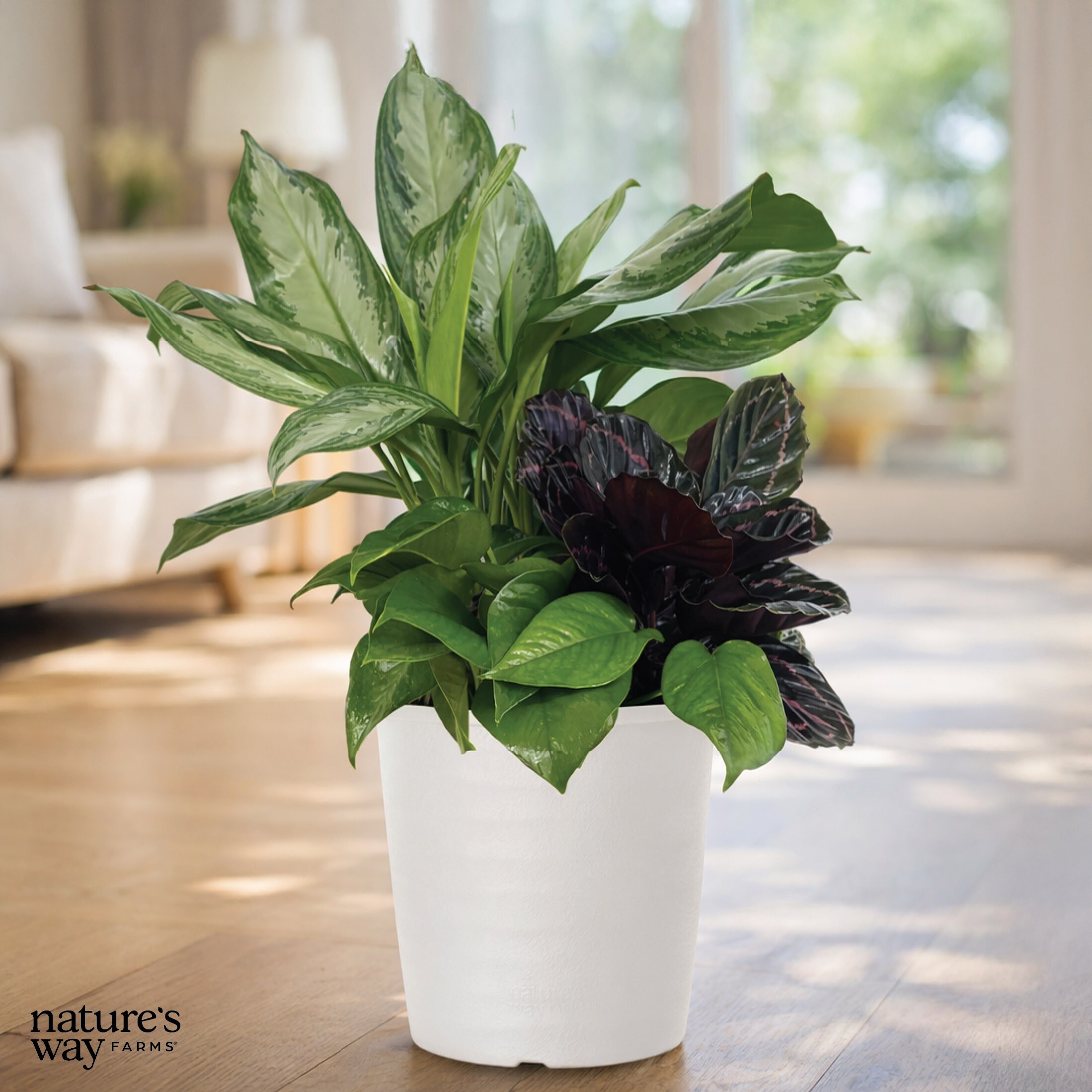 Nature's Way Farms HP Perfect Green Home (Nature's Way) in the House ...