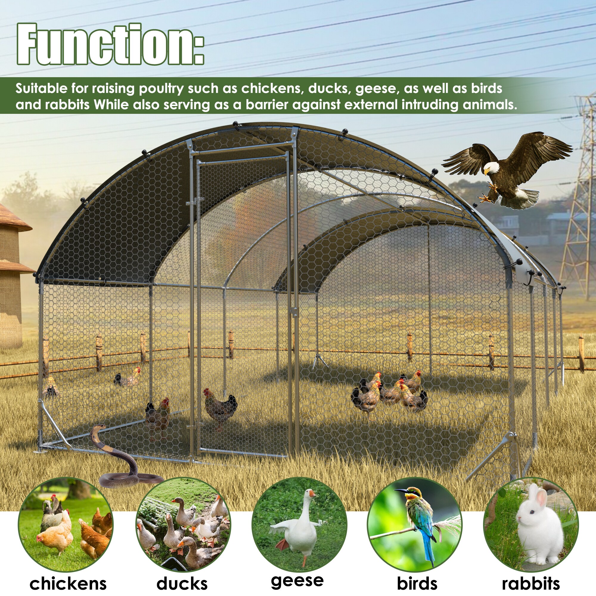 Xspracer Silver Metal Convertible chicken coop and rabbit hutch in the ...