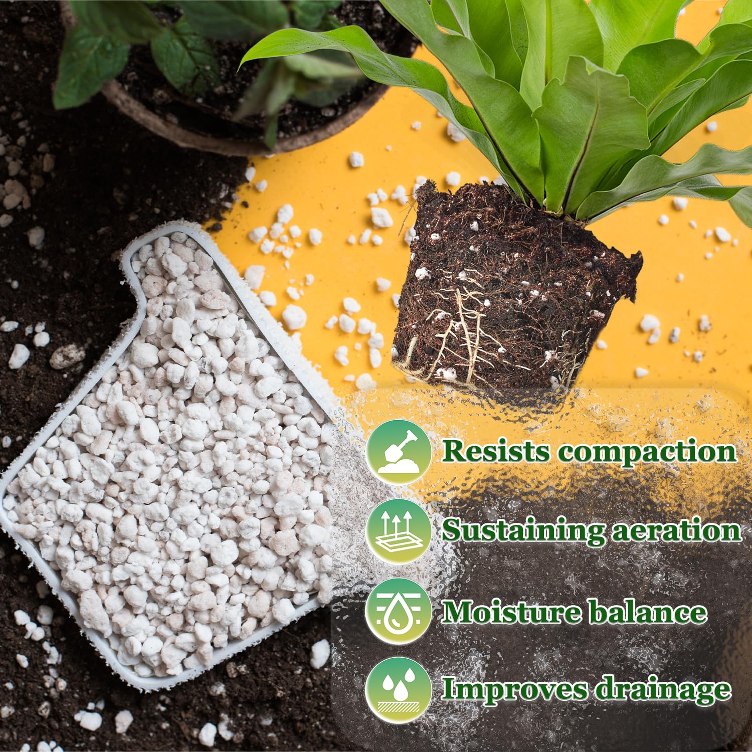 Adrinfly Organic Horticultural Perlite Natural Soil Conditioner for ...