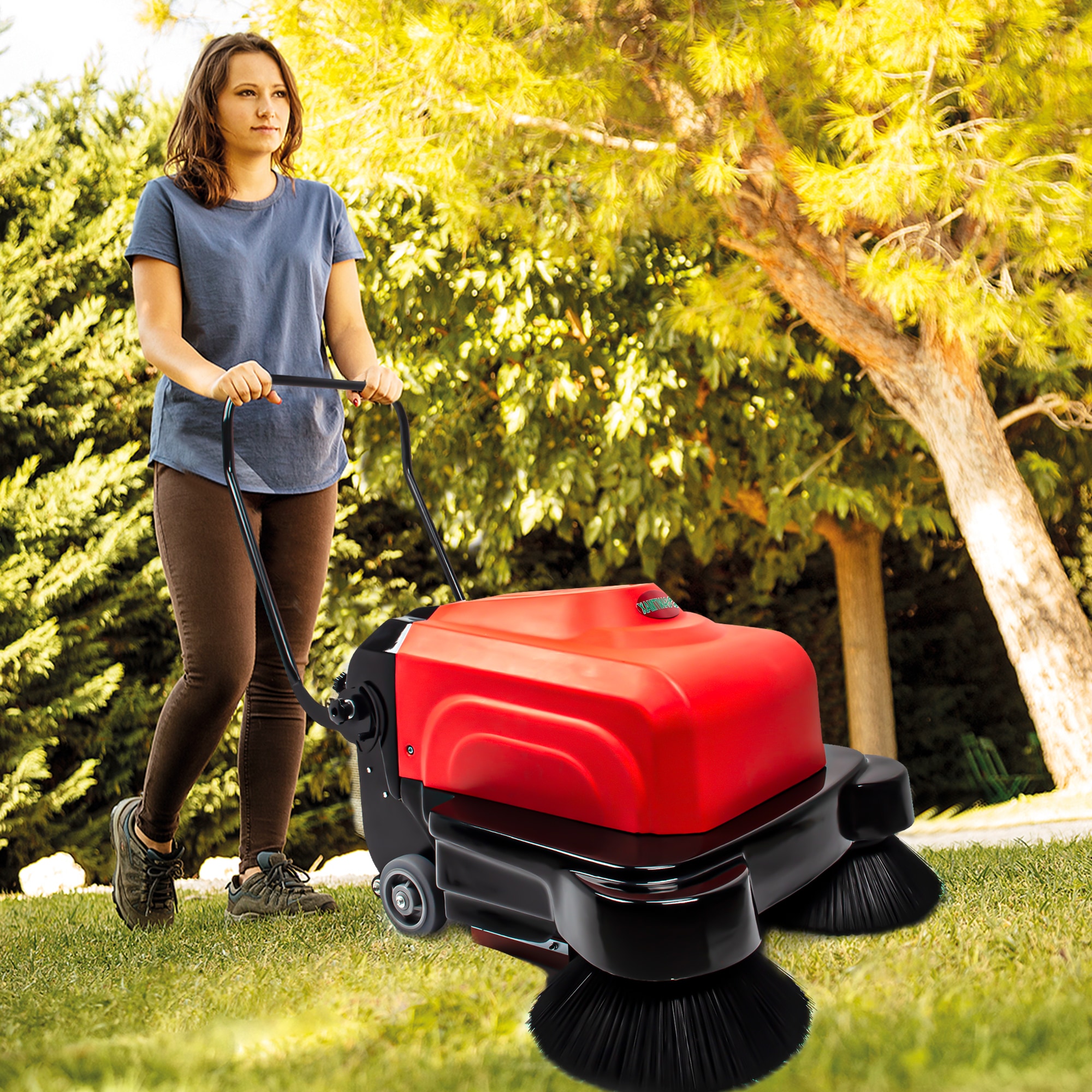 Jeremy Cass Rechargeable Battery Carpet and Hard Surface Indoor or ...