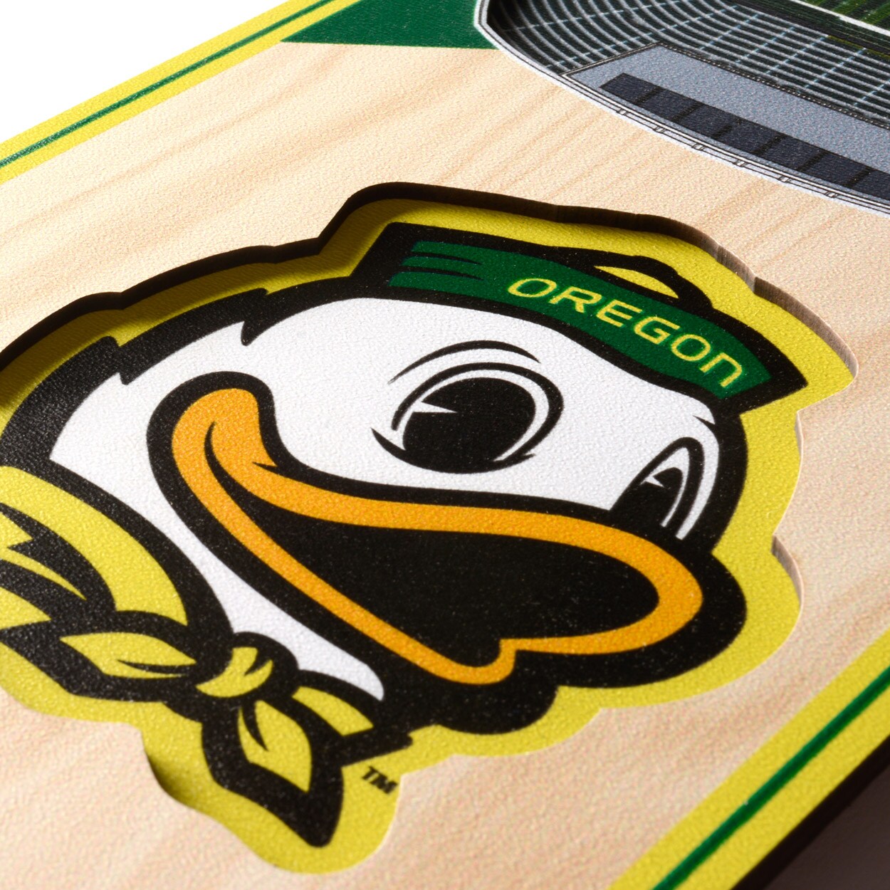 StadiumViews Oregon Ducks Youthefan Team Colors Floater Frame 19-in H x ...